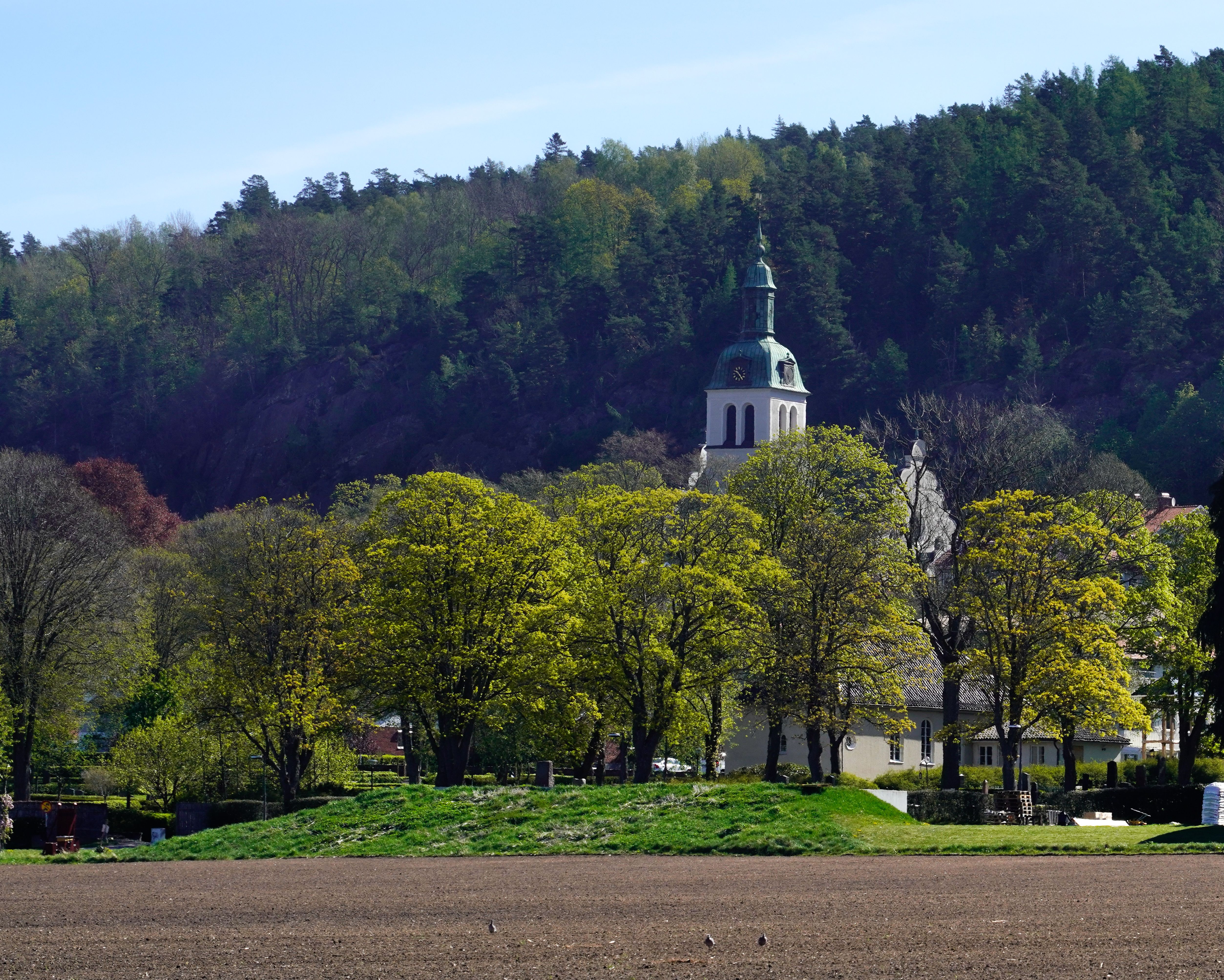 Trees around Church in Village · Free Stock Photo