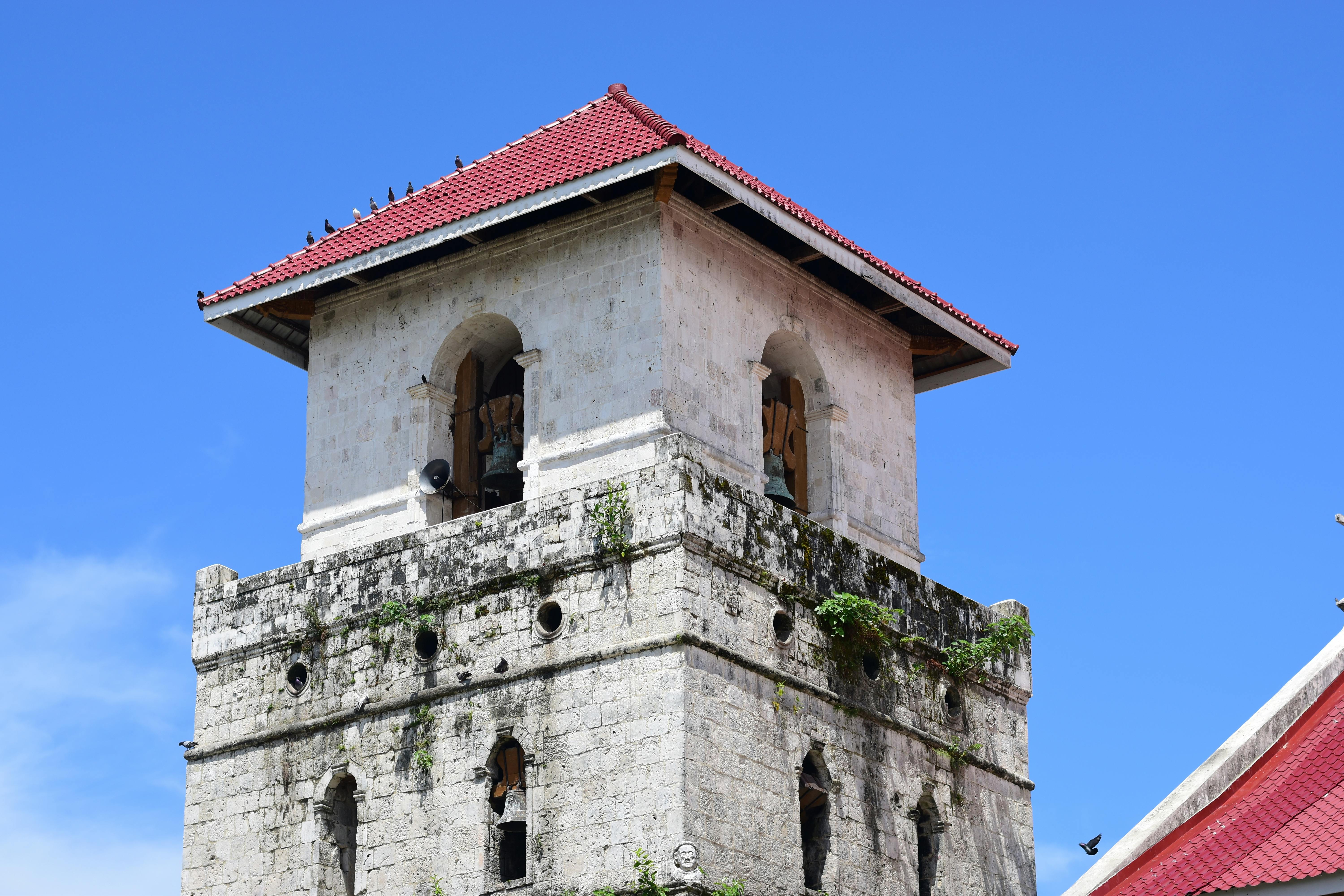 Bohol Photos, Download The BEST Free Bohol Stock Photos & HD Images