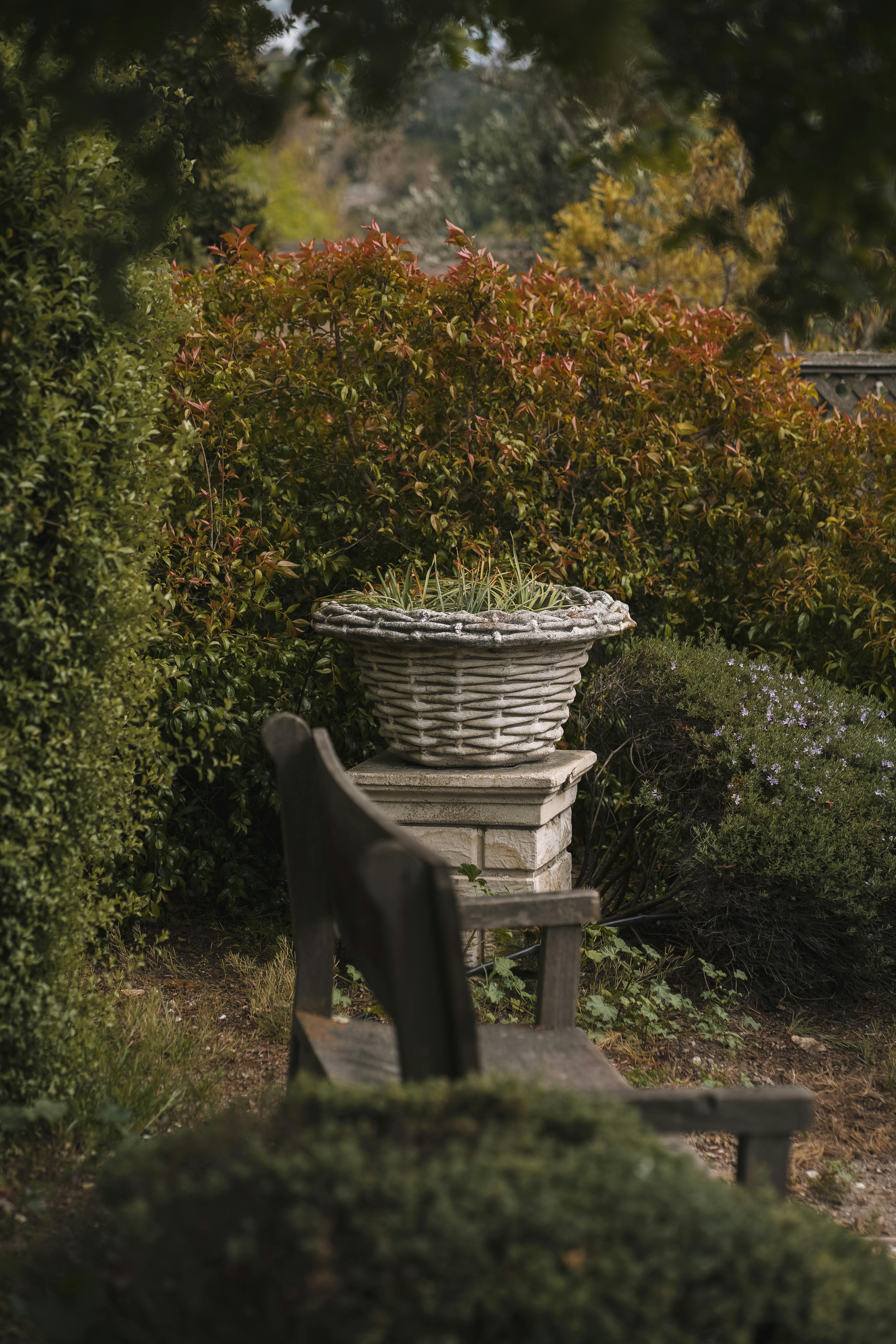 Bench in a Garden · Free Stock Photo