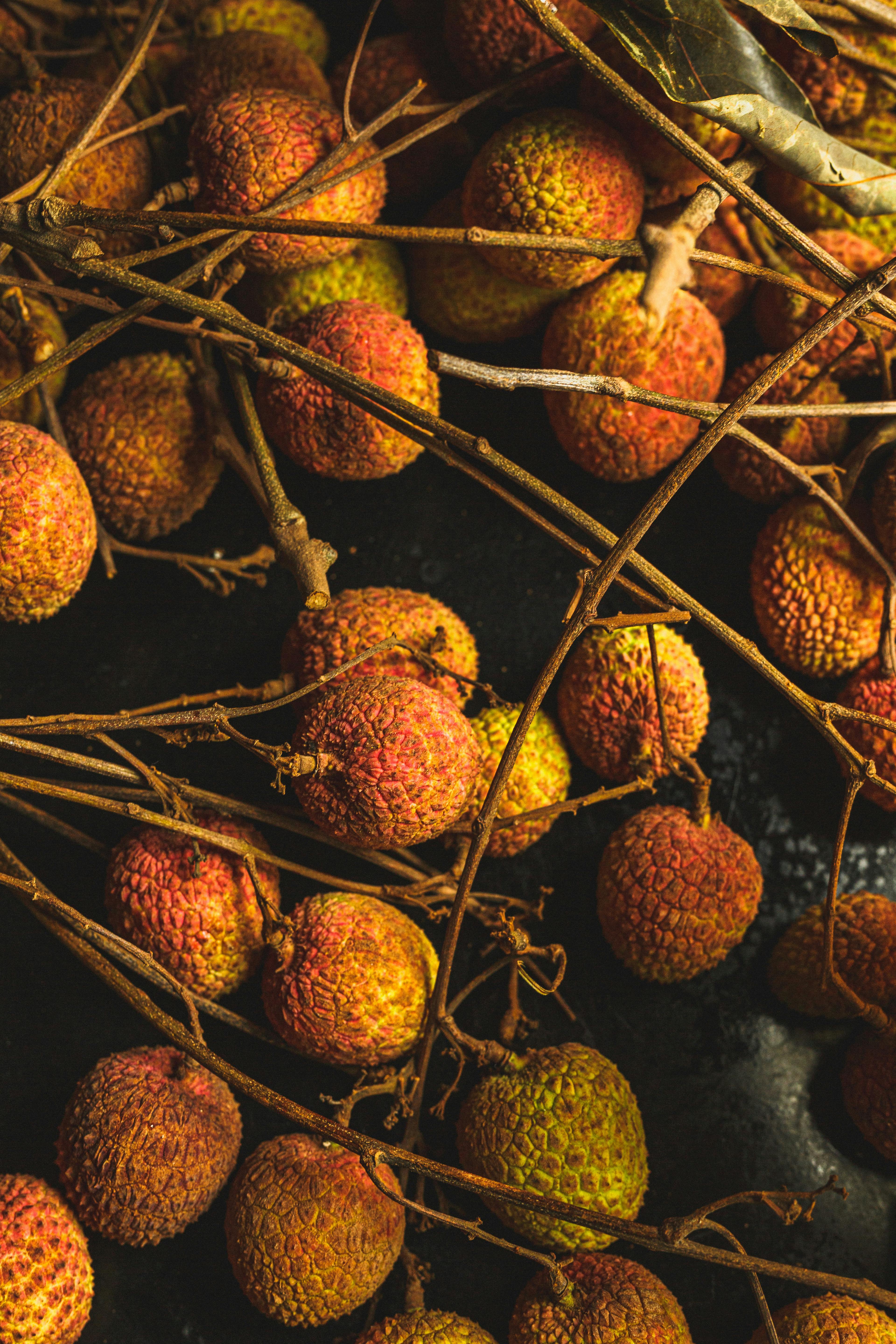 Close up of Lychees · Free Stock Photo