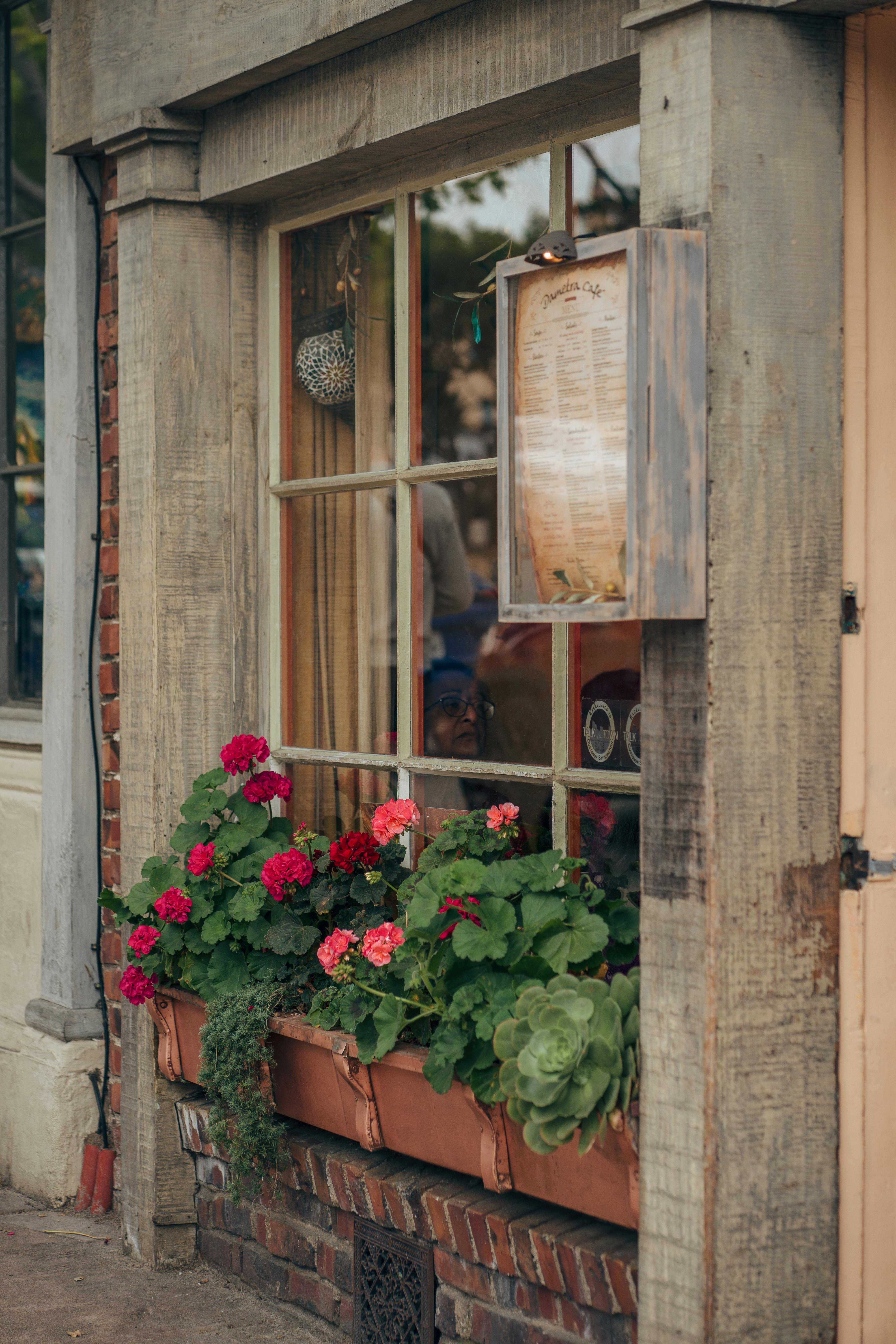 Windows in a House · Free Stock Photo