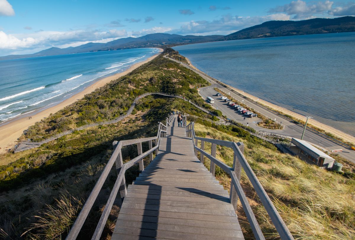 Rainforest+Jungle+In+Tasman+Peninsula,+Tasmania,+Australia Photos ...