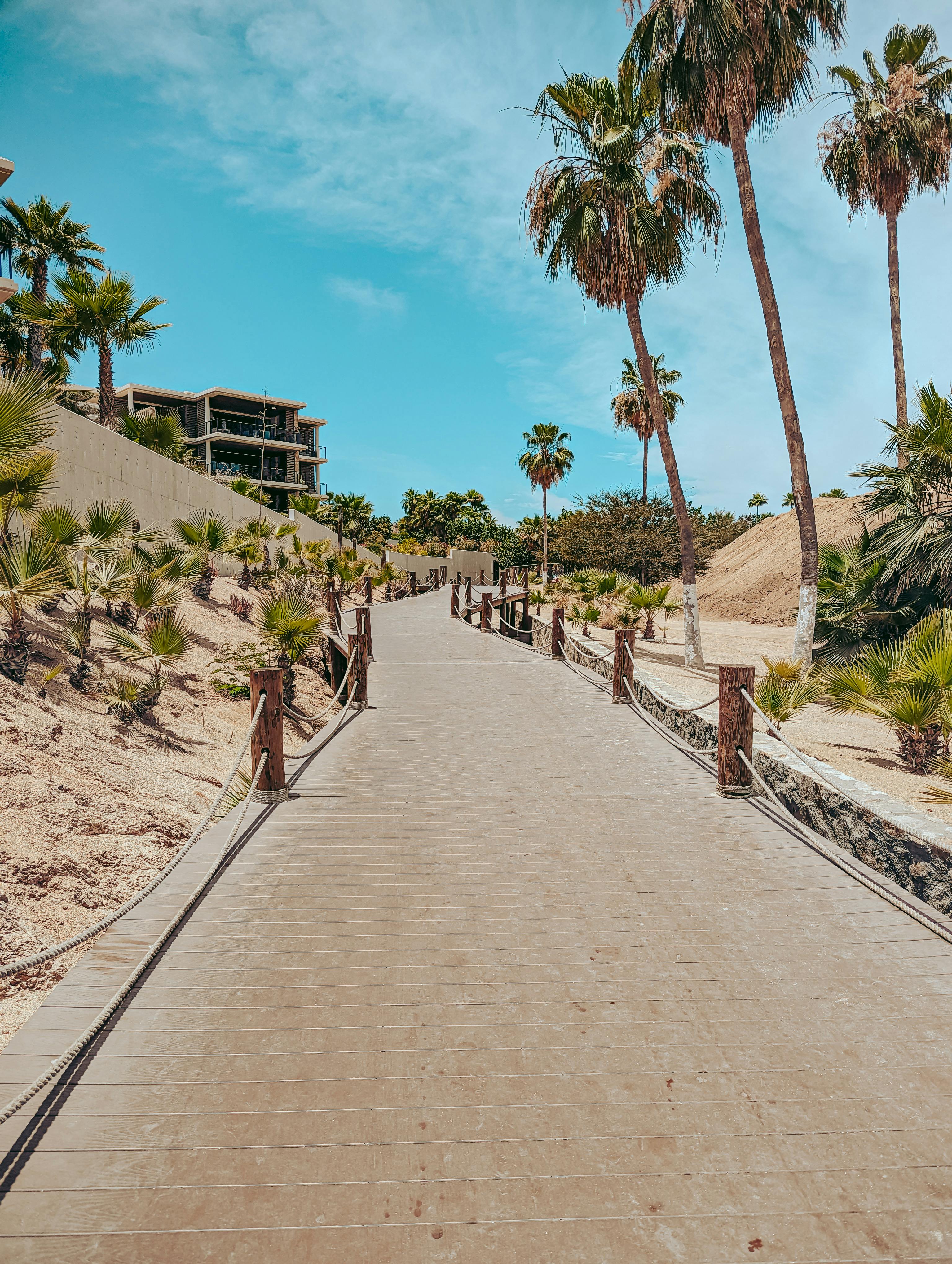 Broski Benigno - Photography