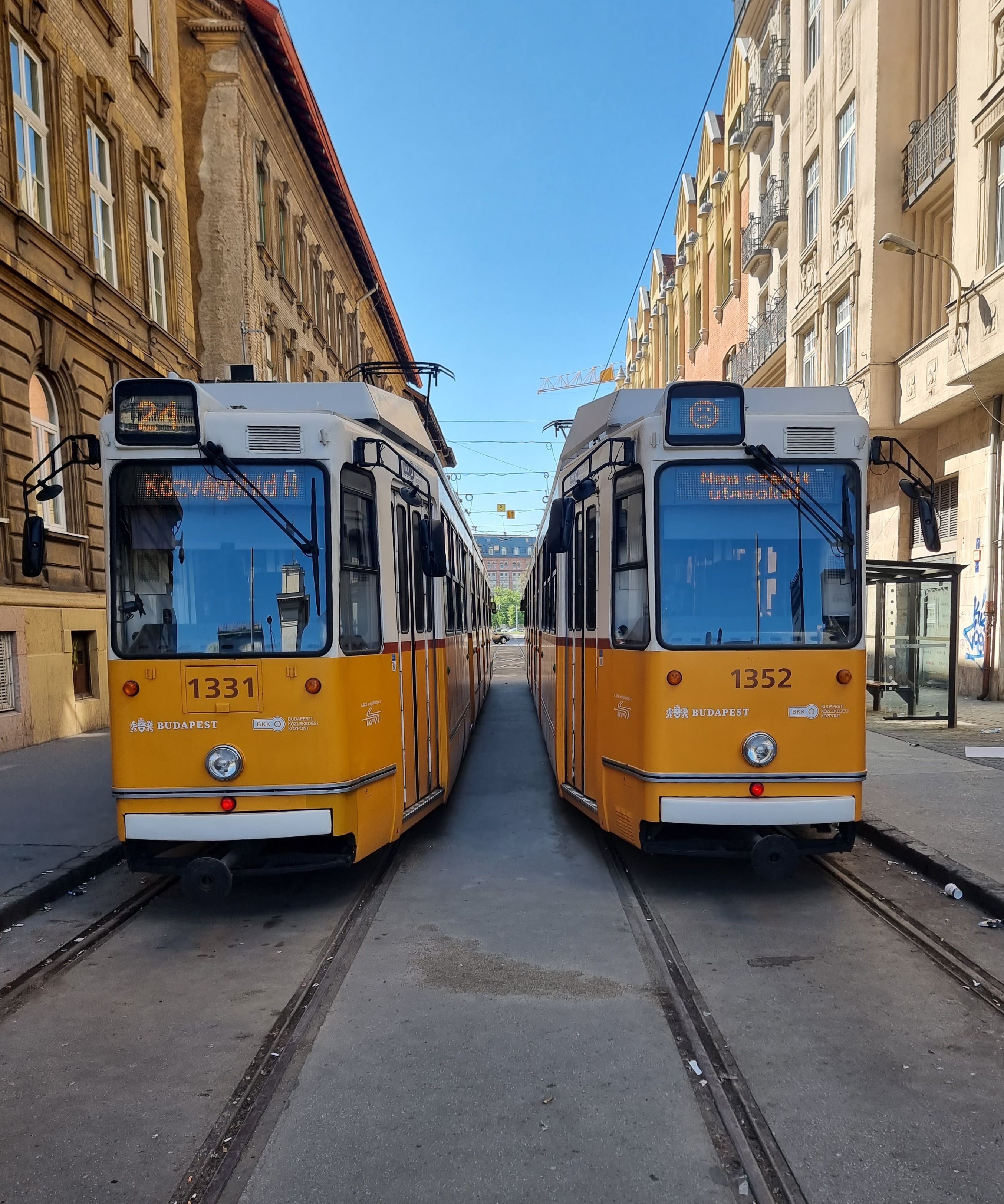 Yellow Trams in the City · Free Stock Photo