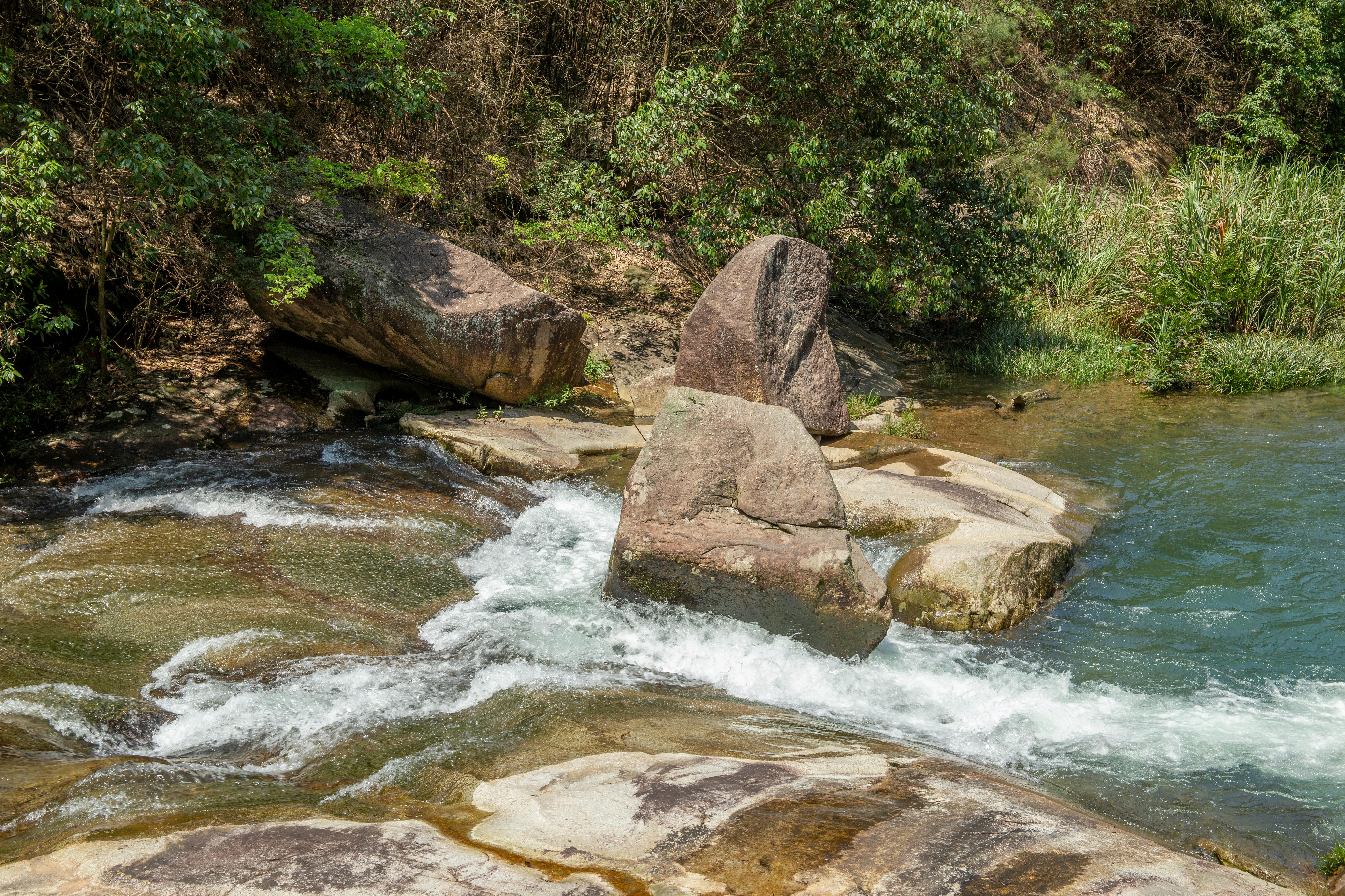 Rocks on Stream · Free Stock Photo
