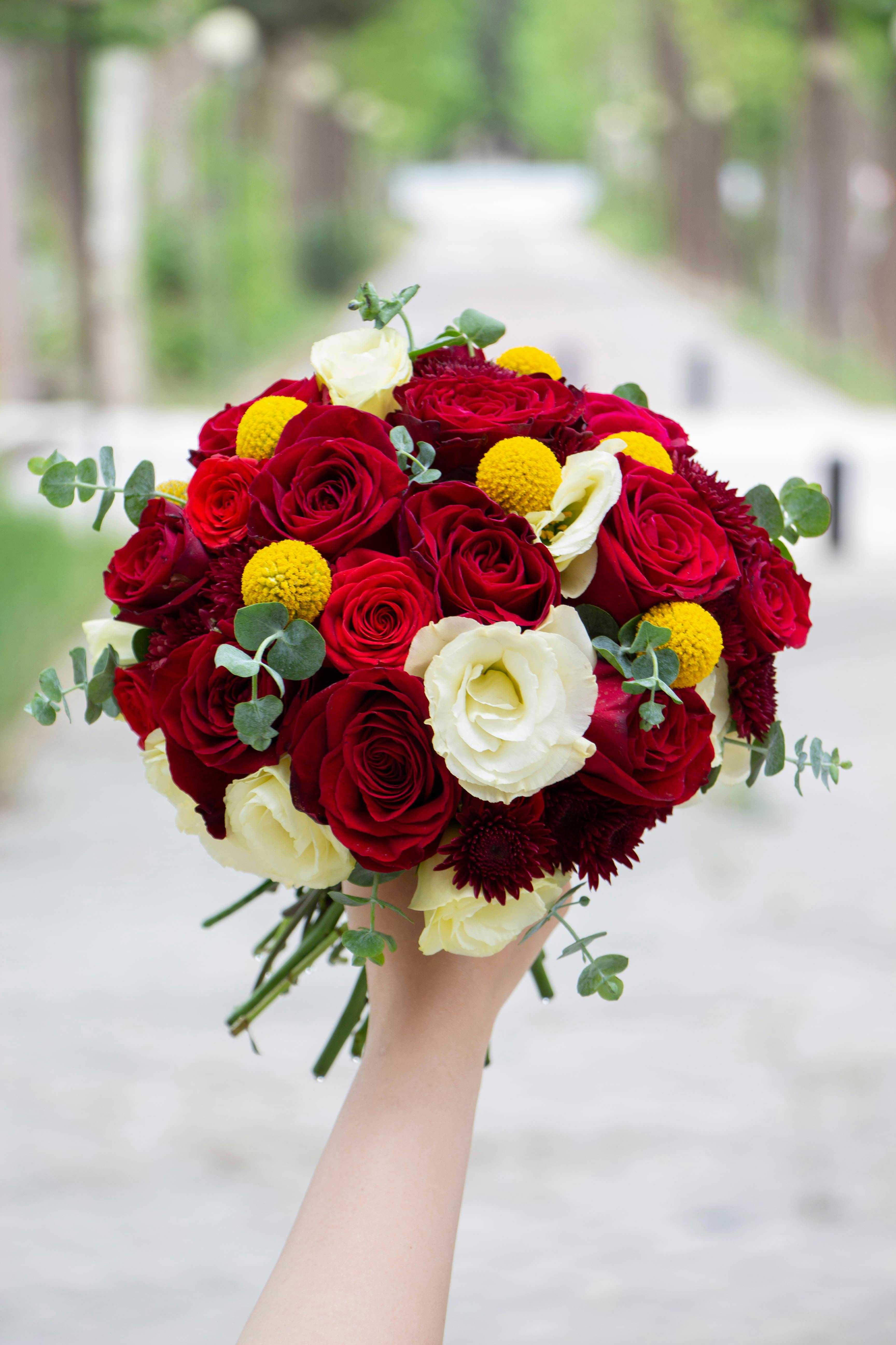 Woman Hand Holding Flowers Bouquet · Free Stock Photo