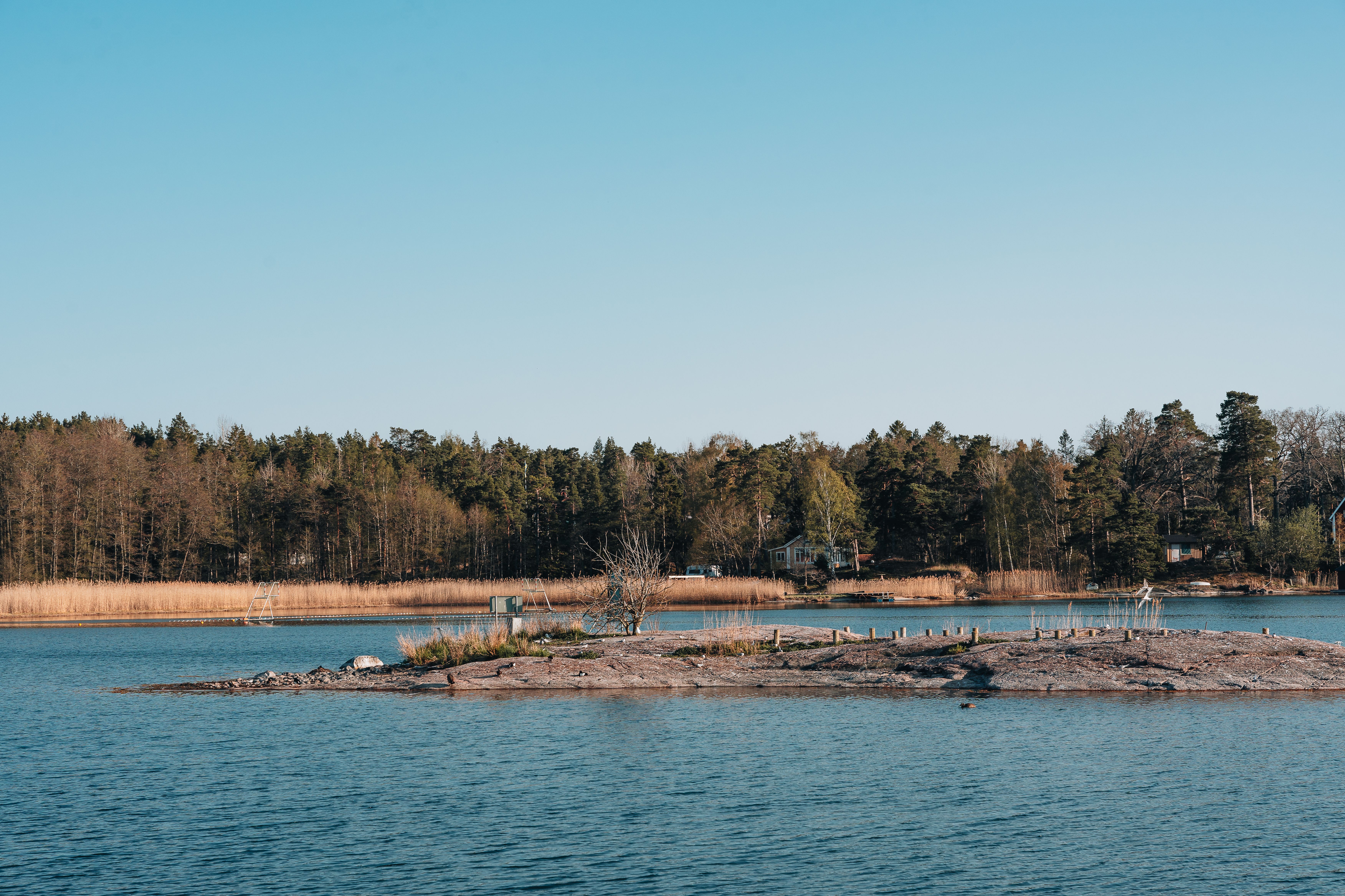 Island on a Lake · Free Stock Photo