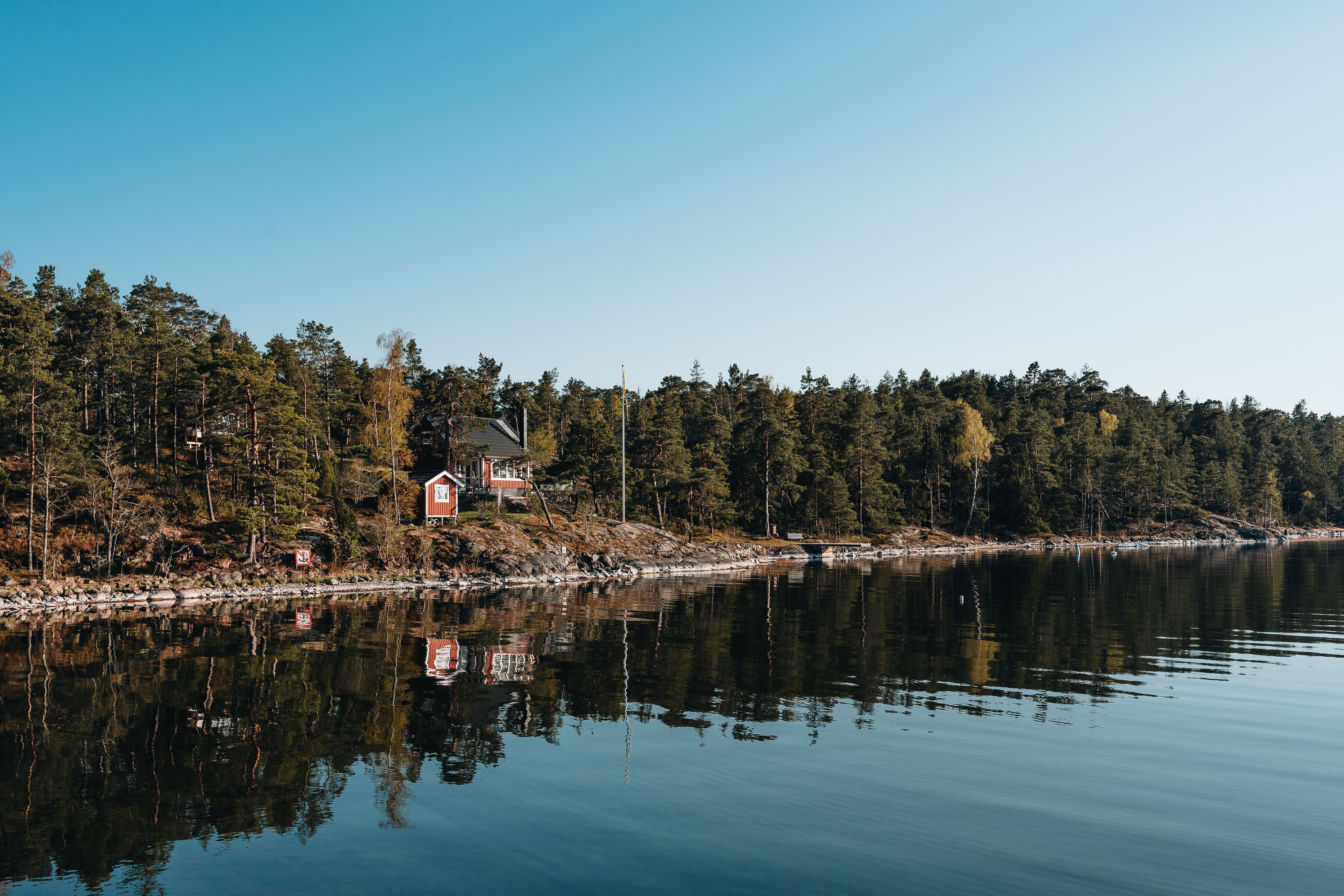 Lakeshore with Pine Trees and Lodges · Free Stock Photo