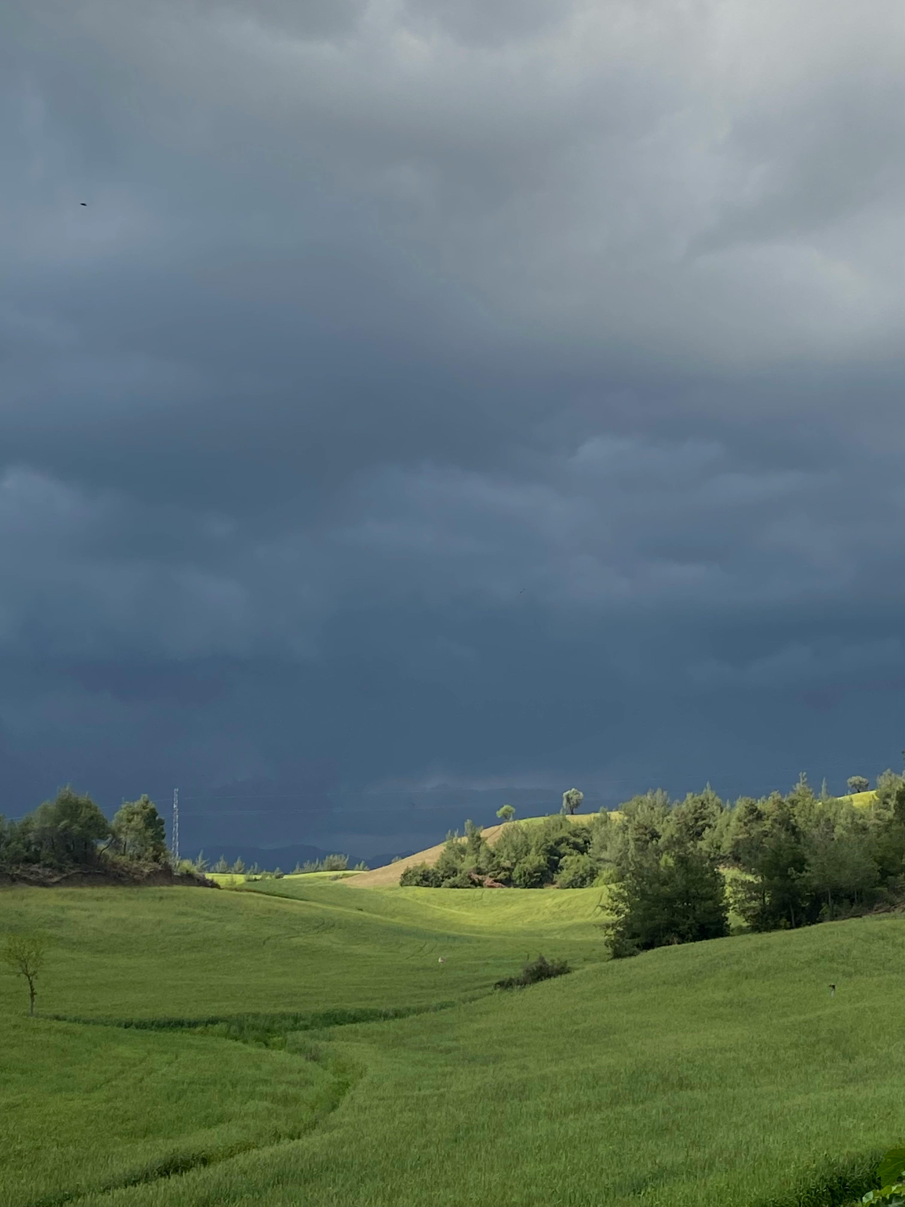 Rain Clouds over Grassland · Free Stock Photo