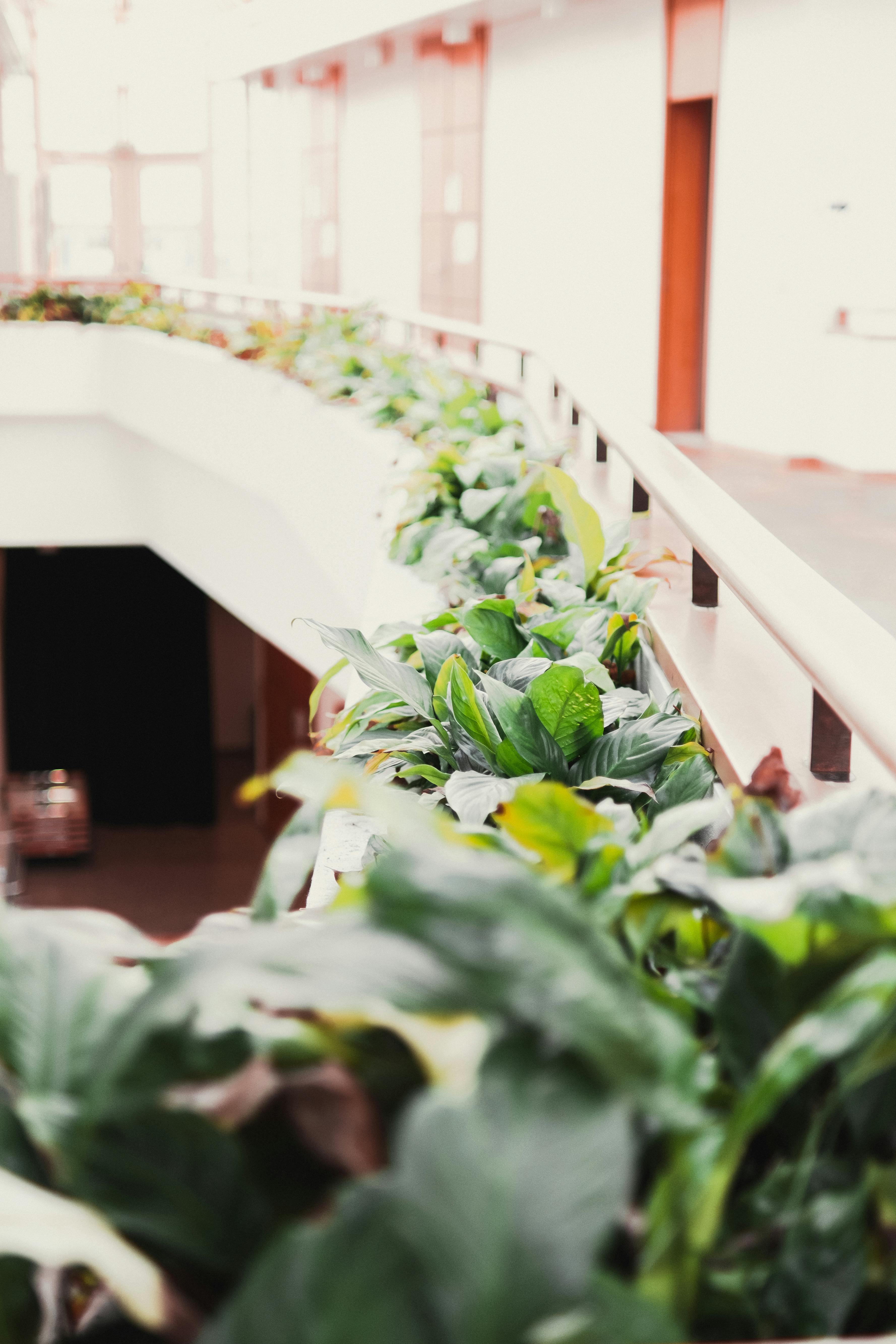 Plants Growing under Railing · Free Stock Photo
