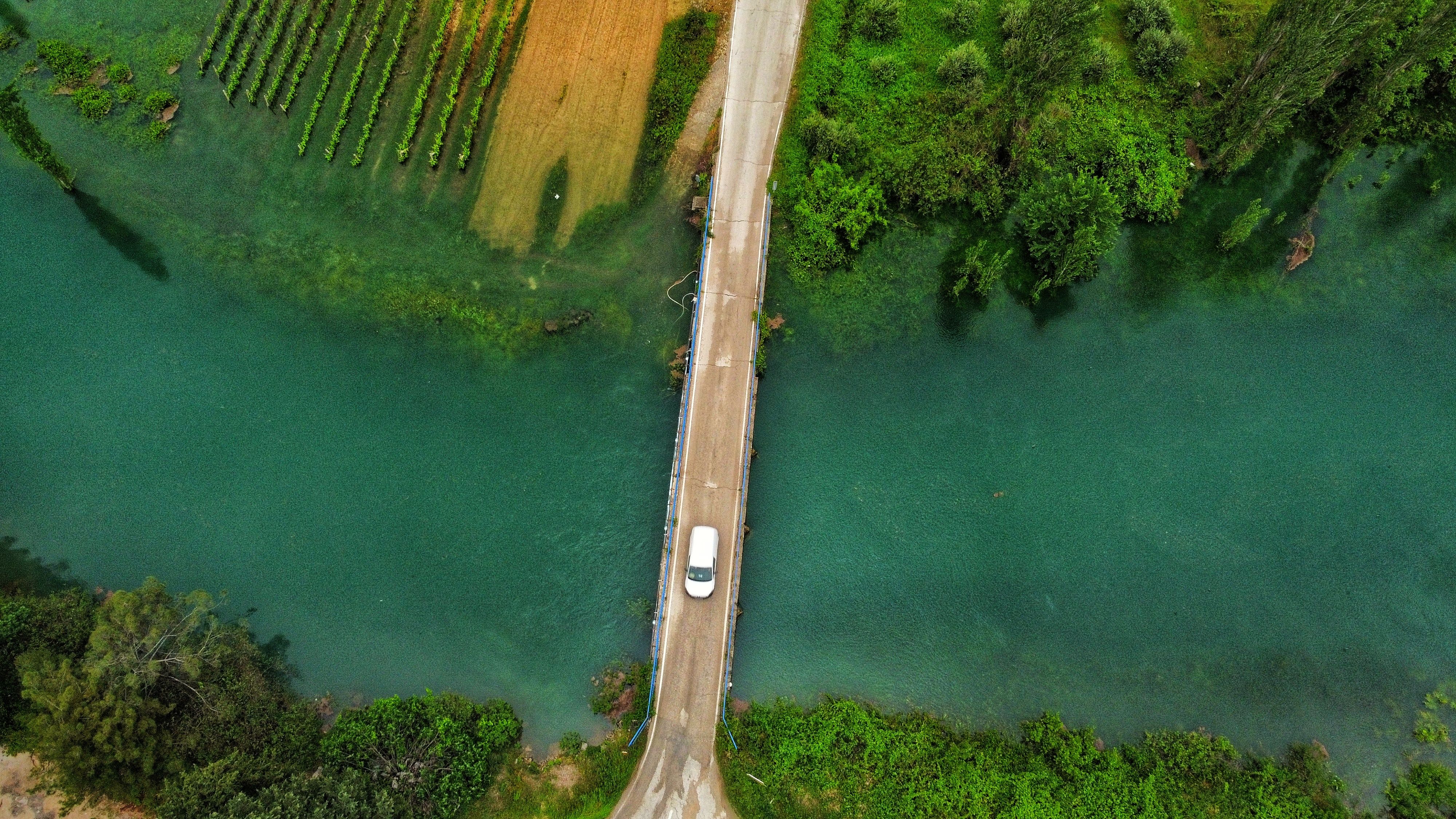 Car on Bridge on River · Free Stock Photo