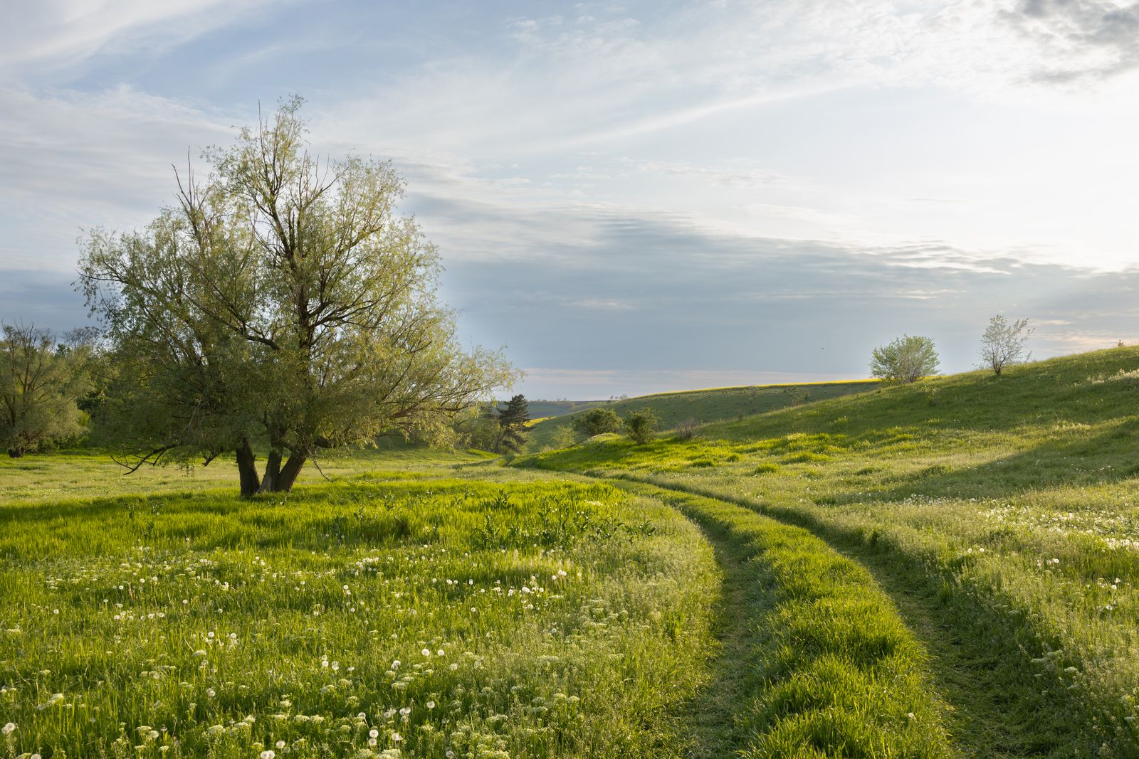 Spring Landscape Photos, Download The BEST Free Spring Landscape Stock ...