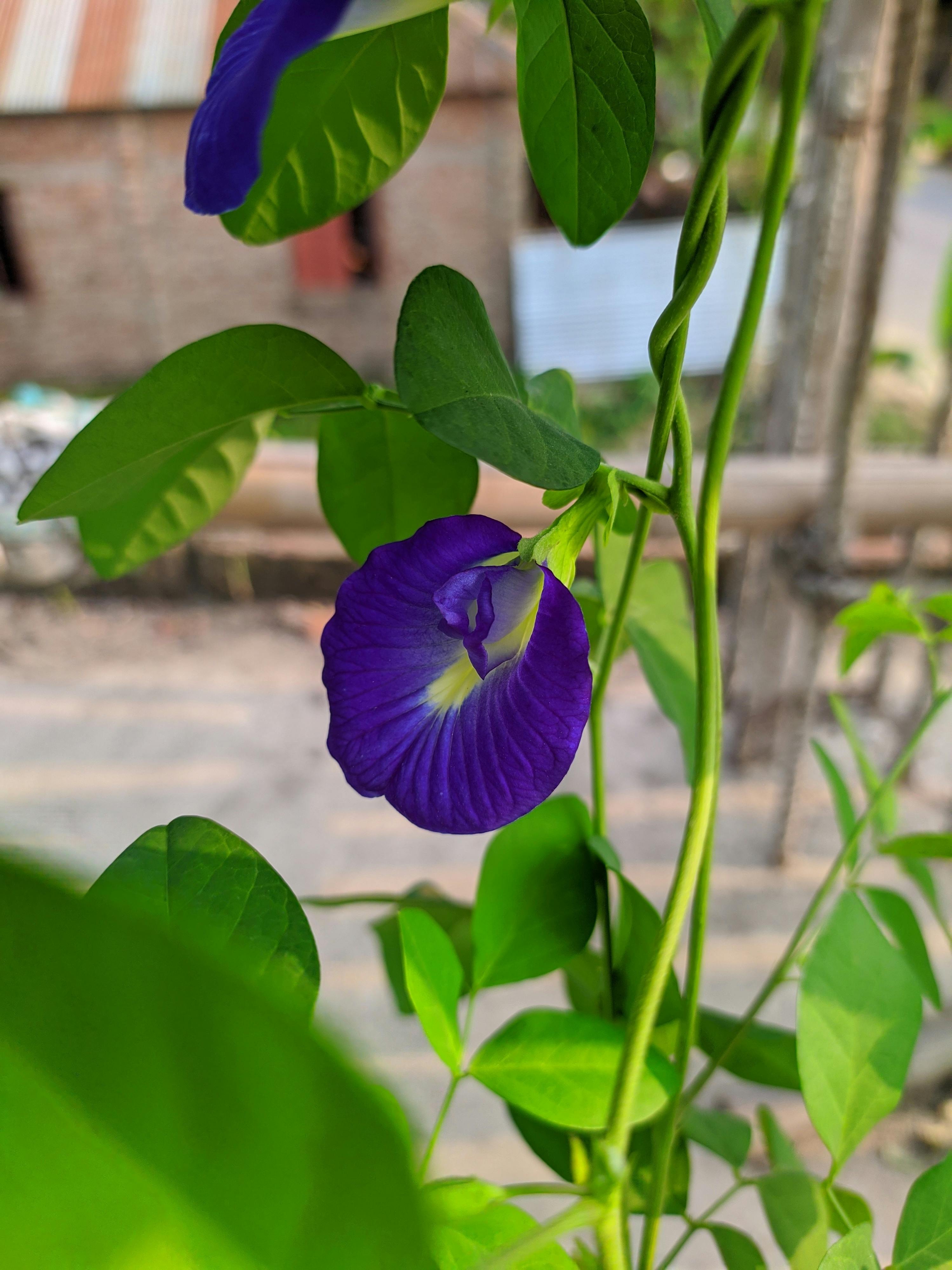 Sumon Error - Photography