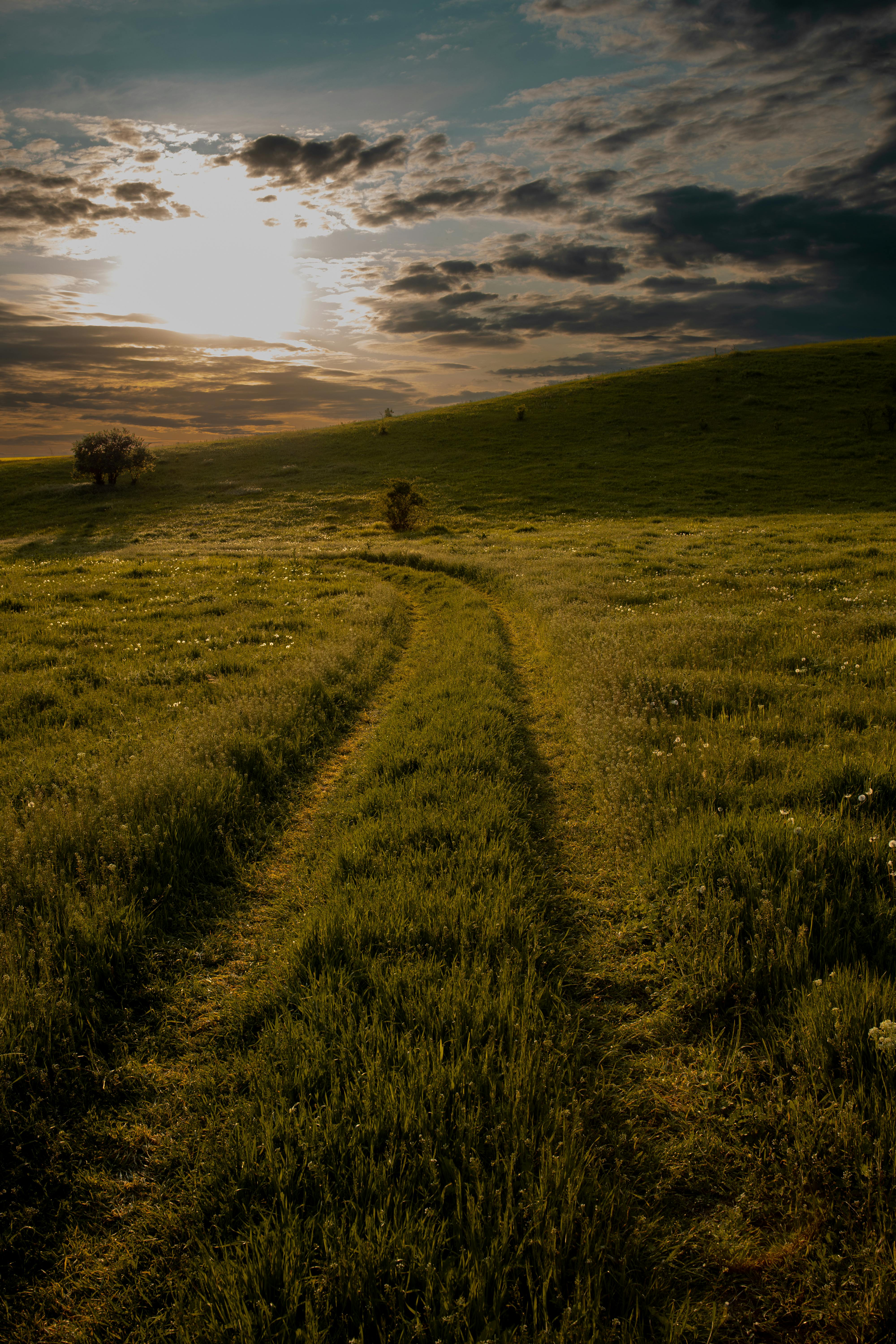 Sunrise on Green Grass Field · Free Stock Photo