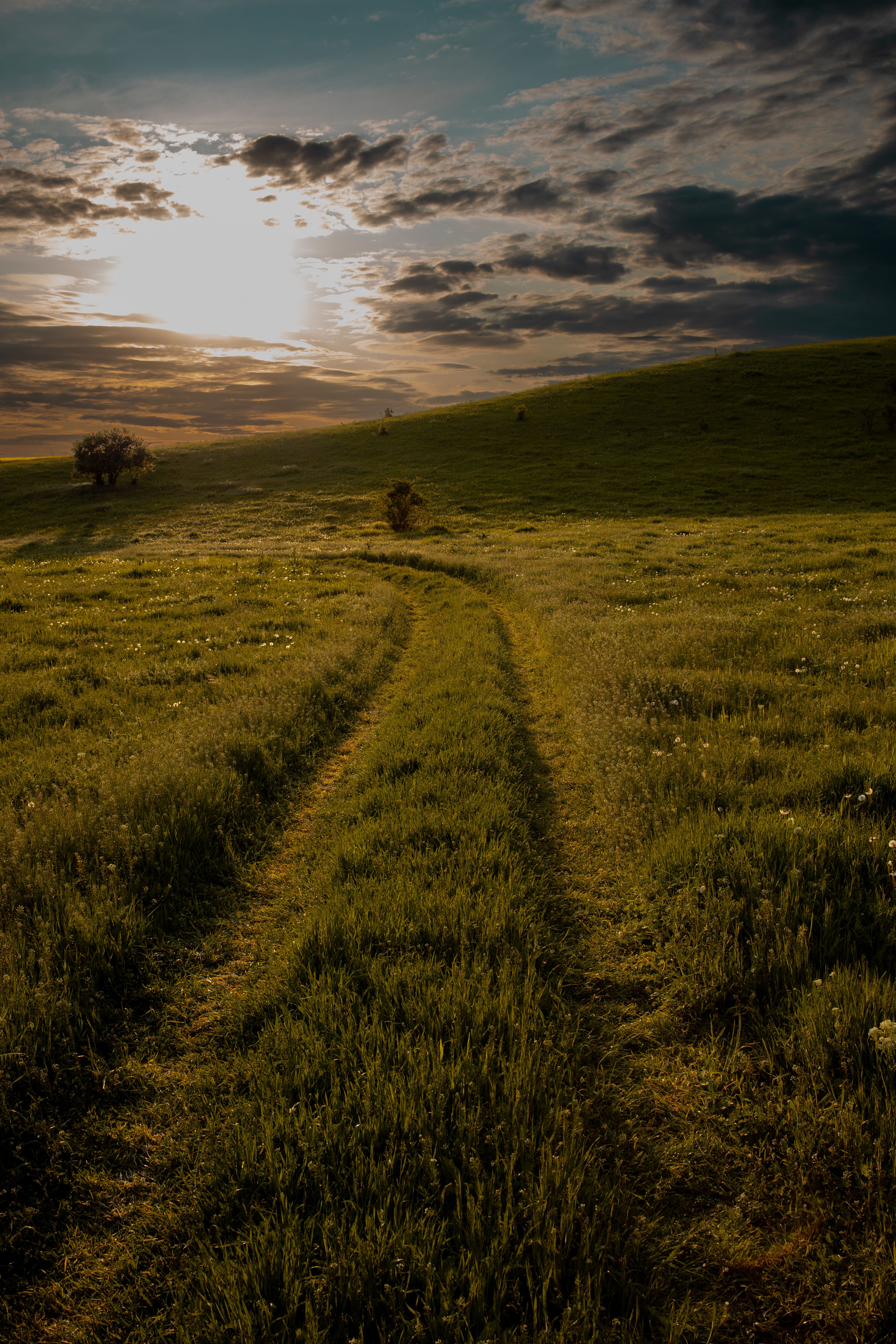 Foto de stock gratuita sobre agricultura, al aire libre, amanecer ...