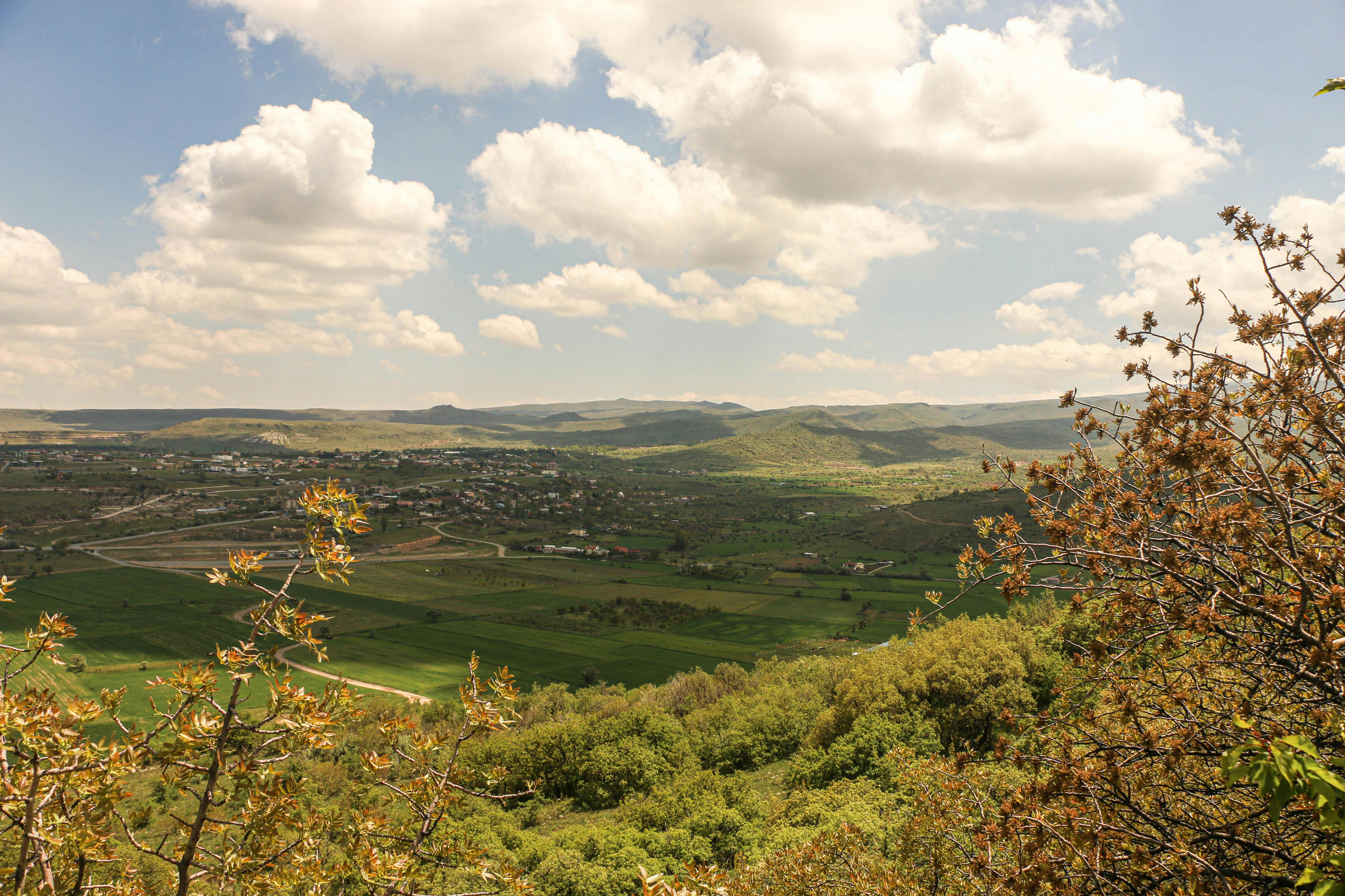 Forest From Up High Photos, Download The BEST Free Forest From Up High ...