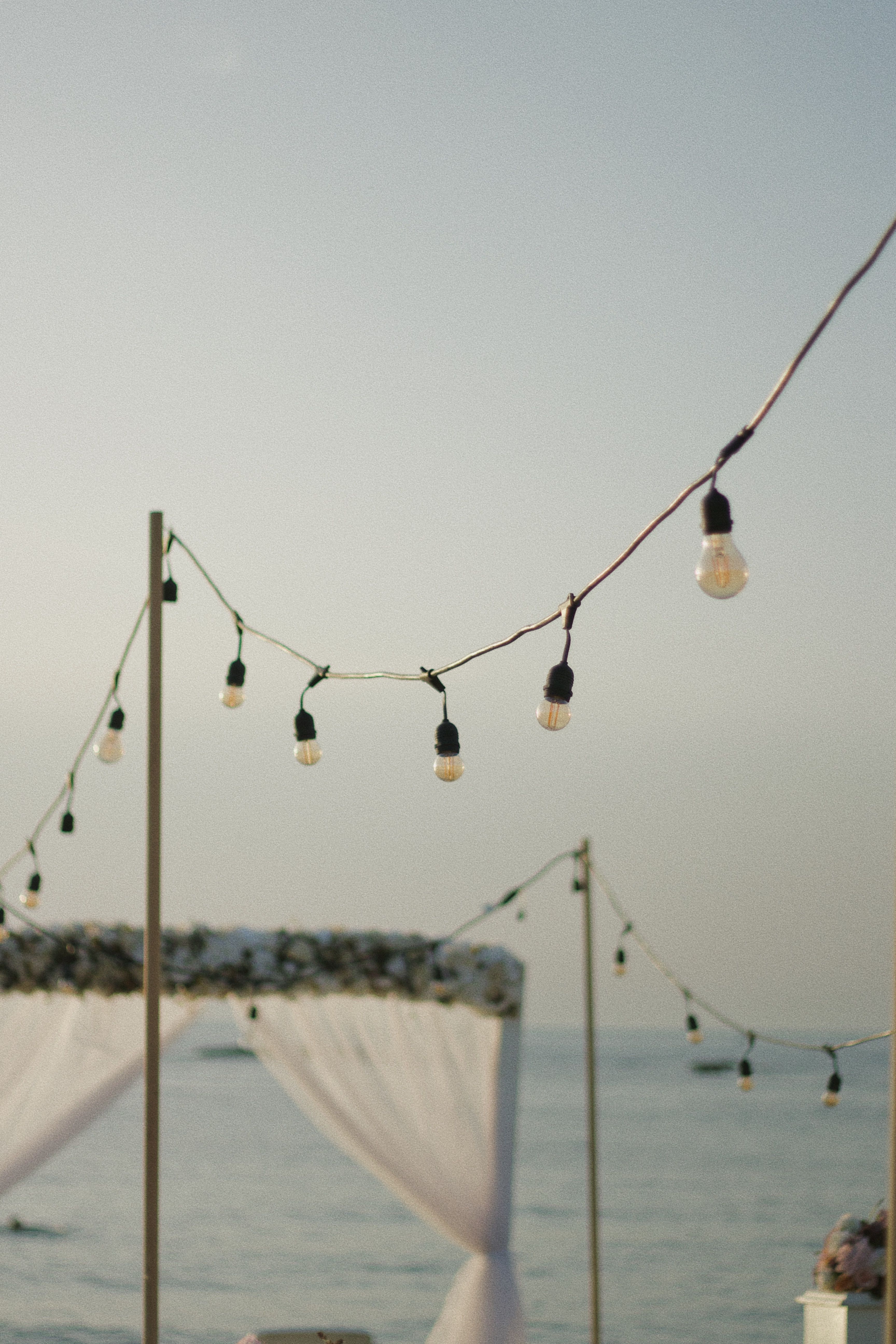 Beach Bulbs Party Photos, Download The BEST Free Beach Bulbs Party ...