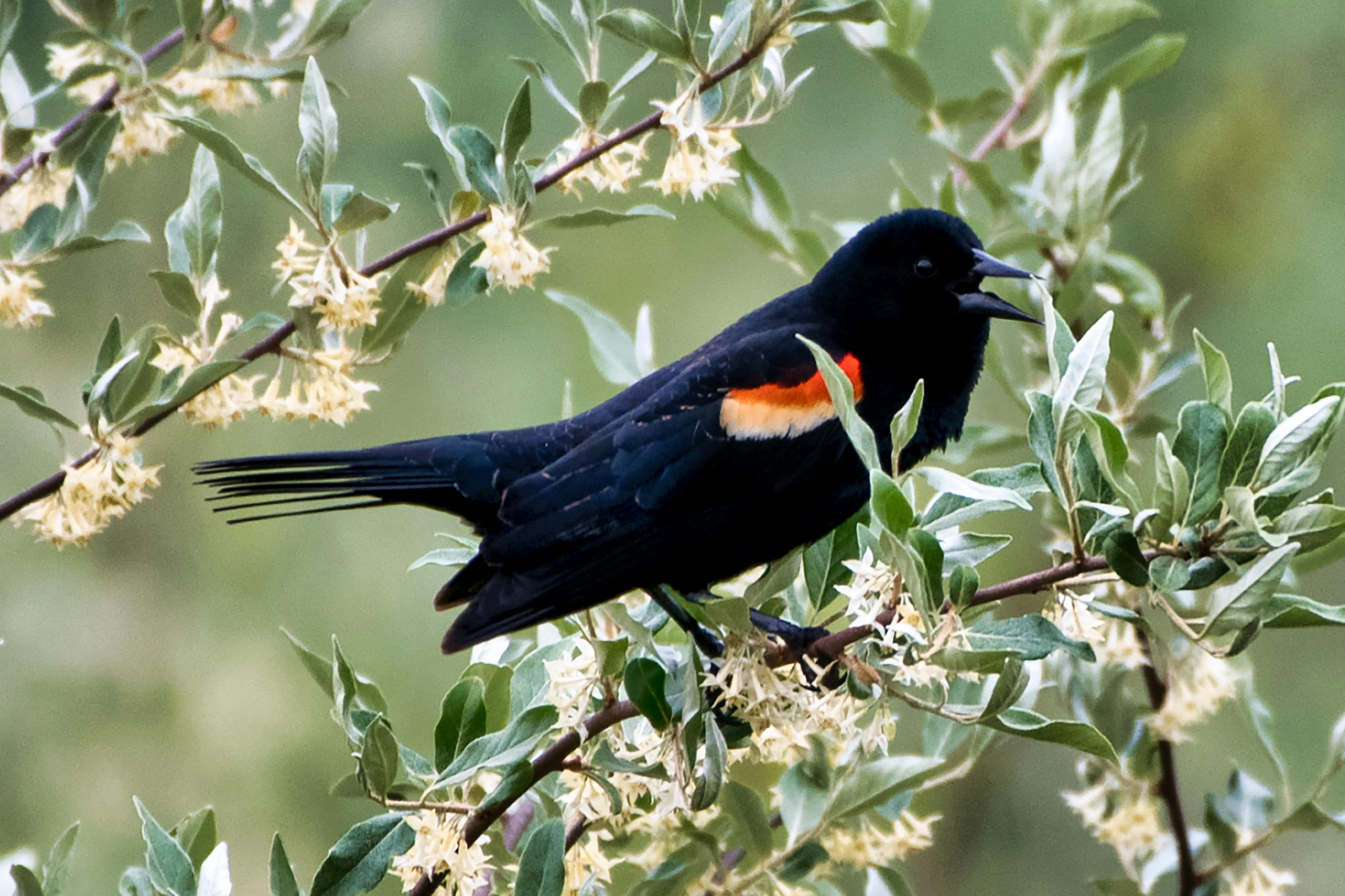Michael Taccetta - Fotografía