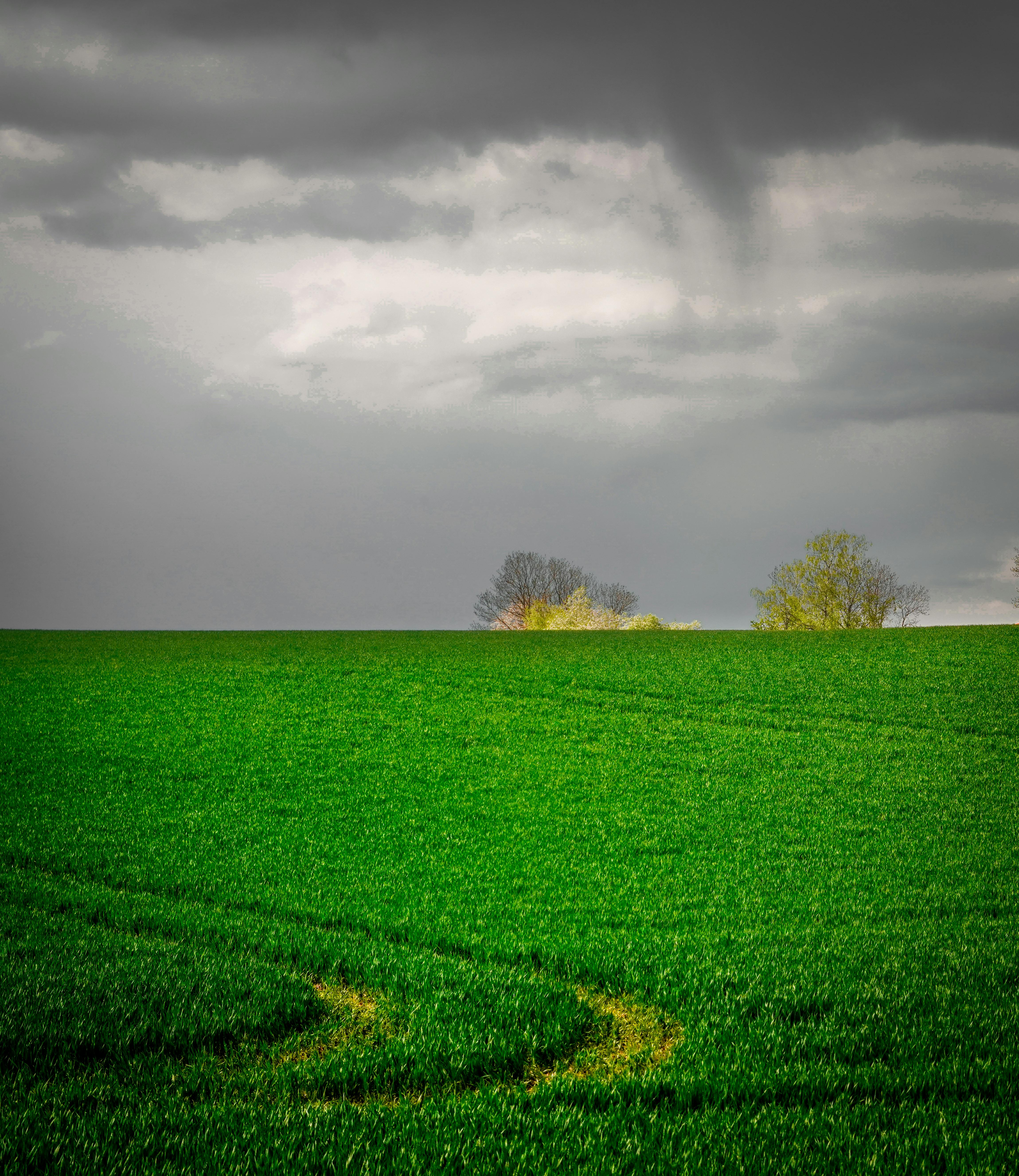 Rain Cloud over Rural Field · Free Stock Photo