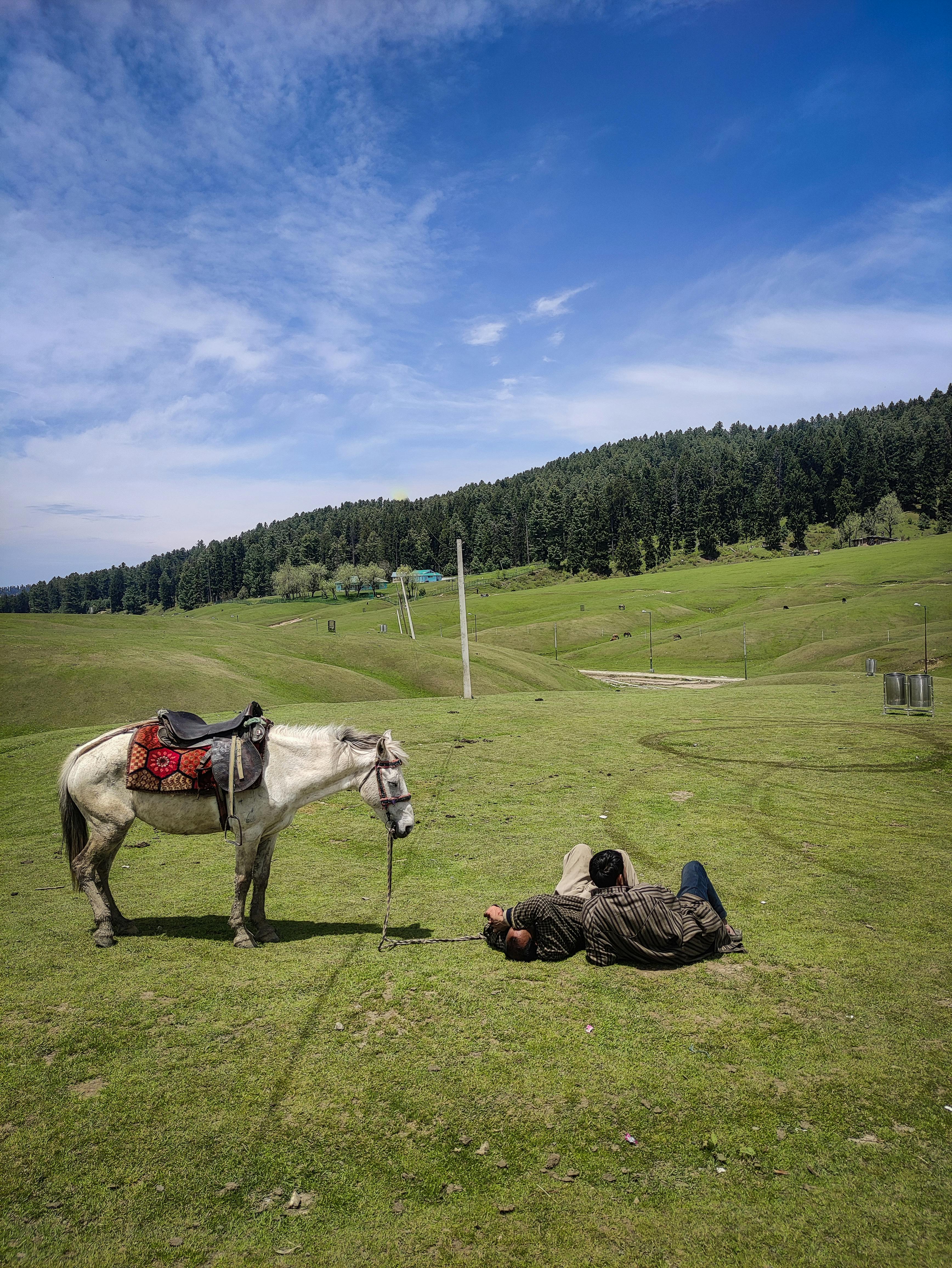 Resting Animation Photos, Download The BEST Free Resting Animation ...