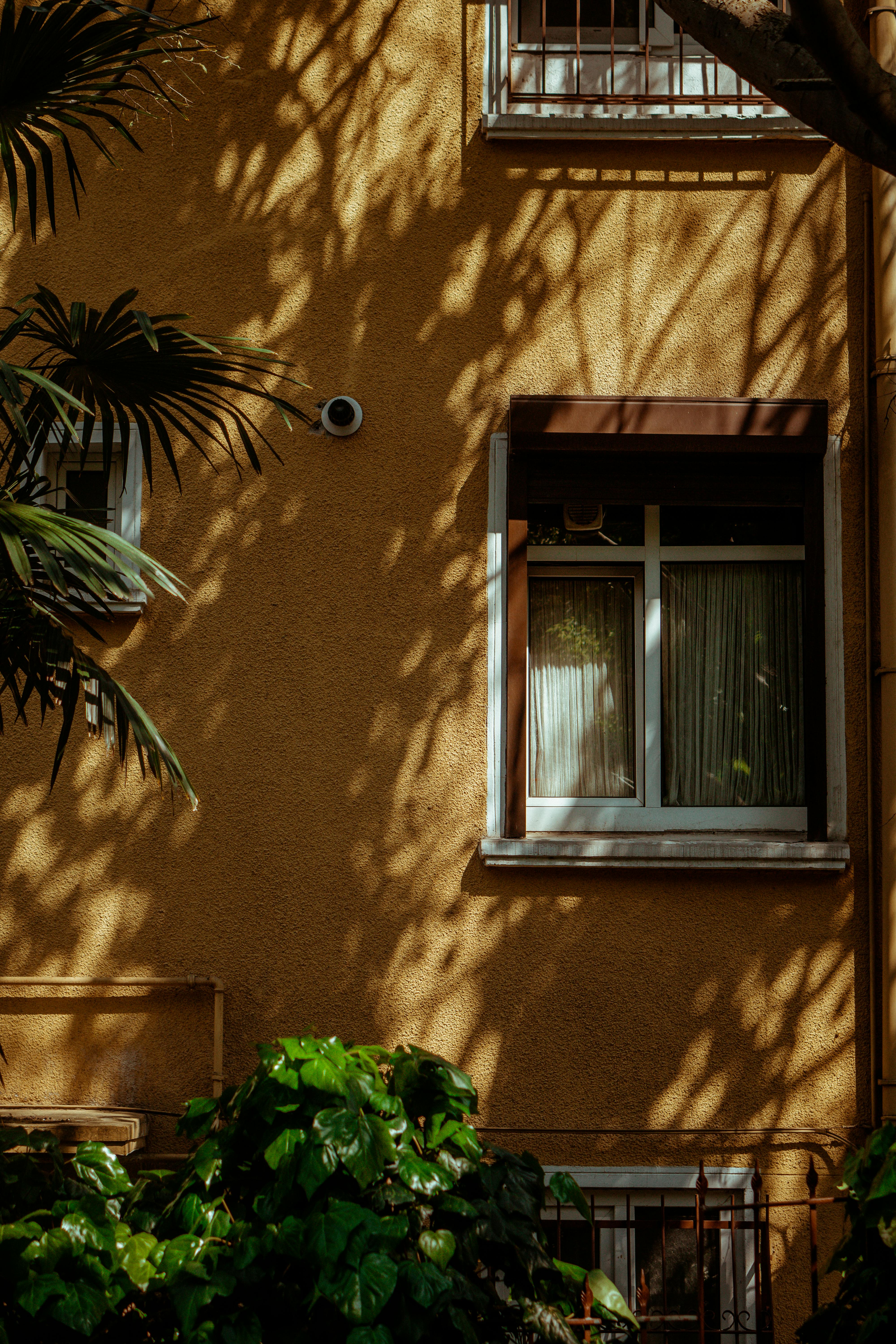 Shadow on Building Wall · Free Stock Photo