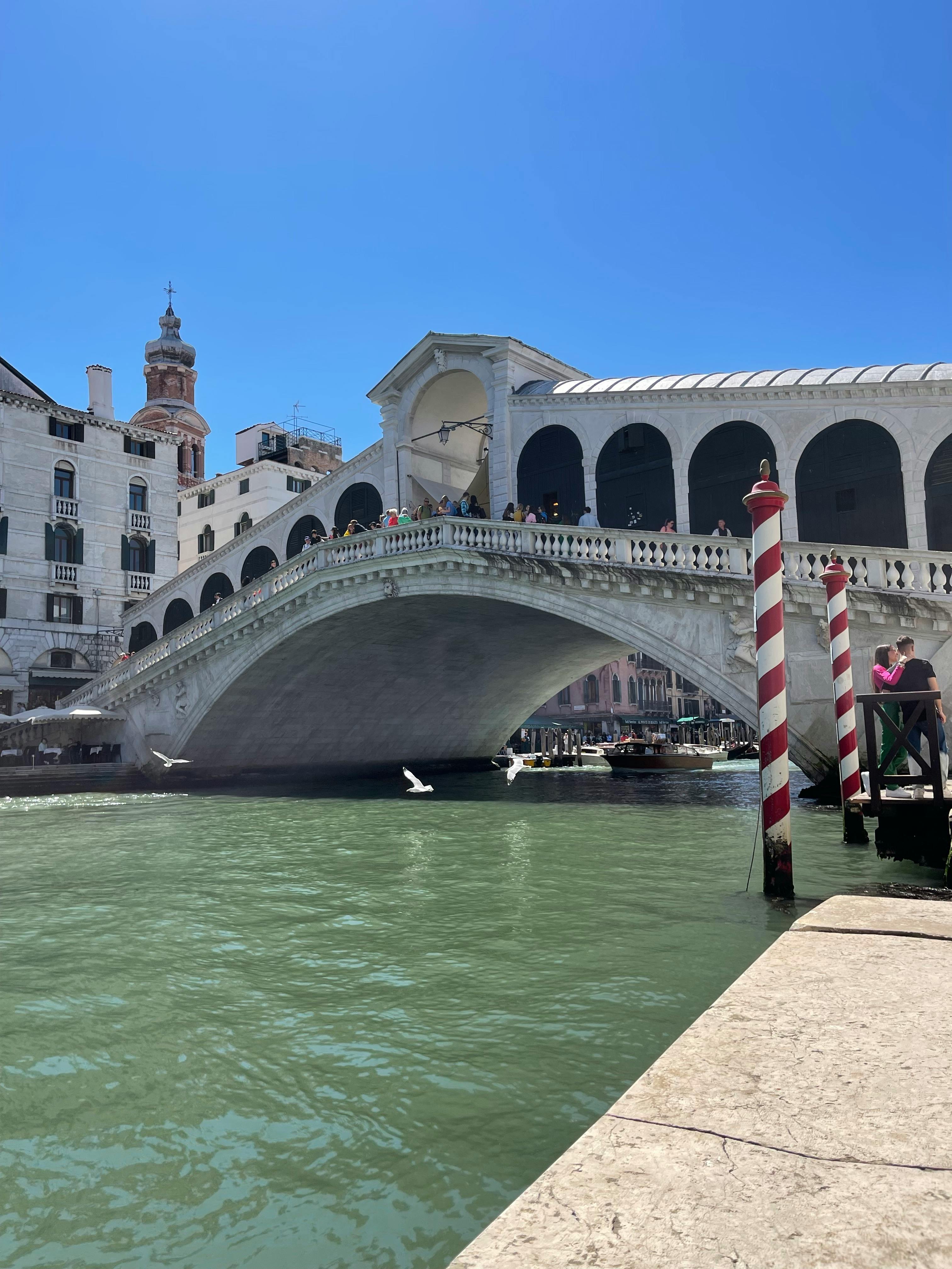Rialto Bridge Photos, Download The BEST Free Rialto Bridge Stock Photos ...