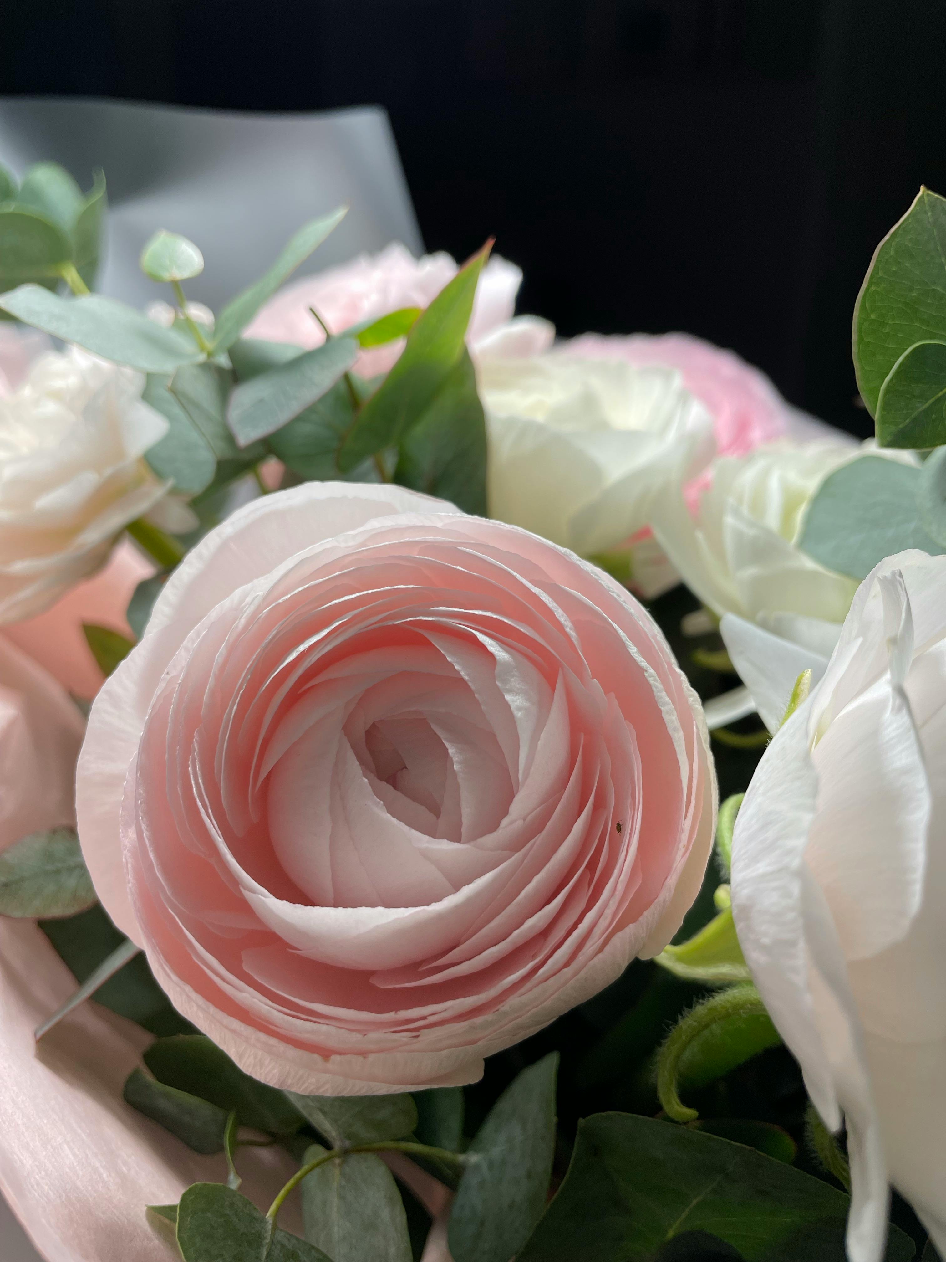 Close-up of a Pink Buttercup Flower in a Bouquet · Free Stock Photo