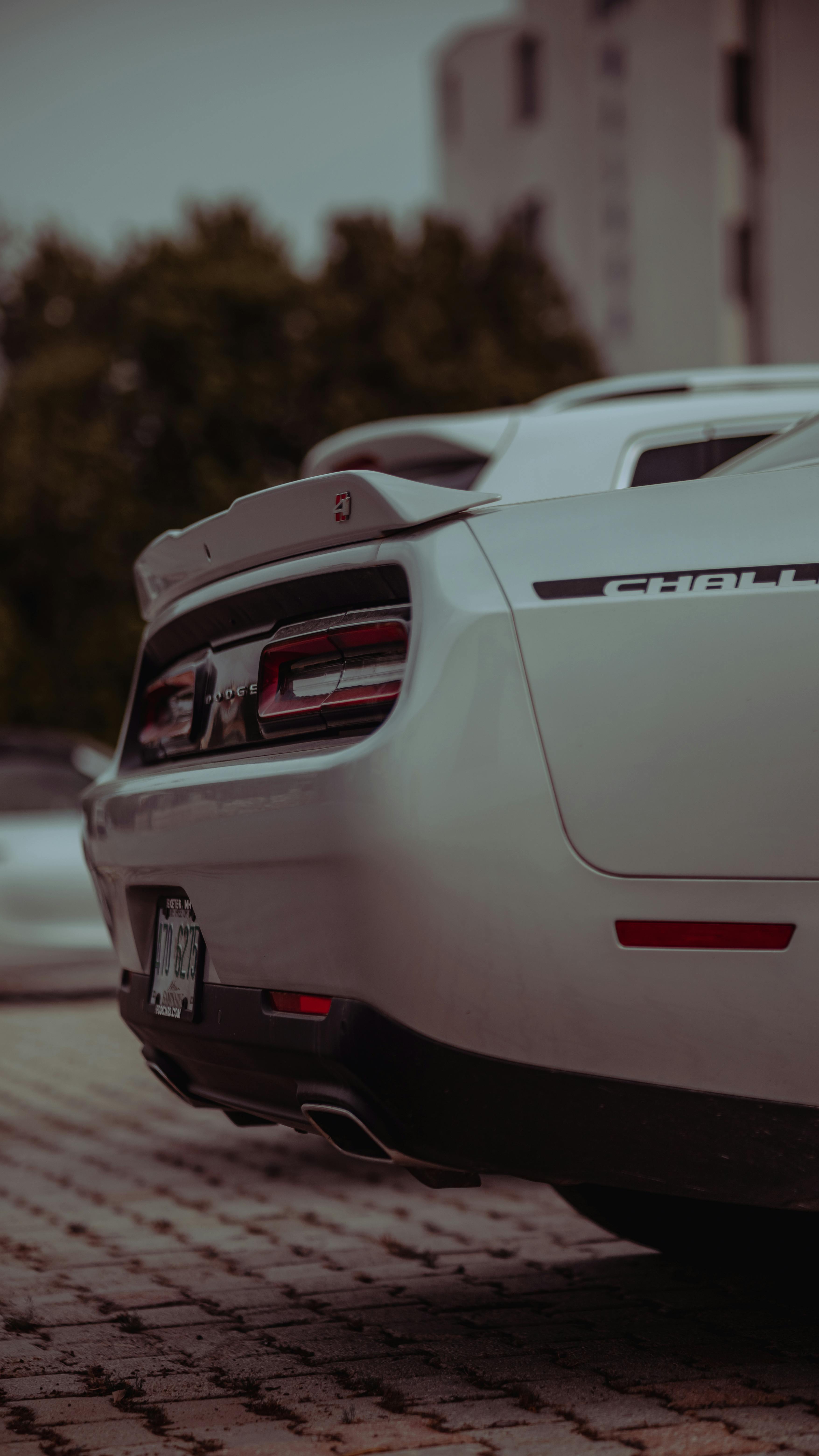 Dodge Challenger doing Burnout · Free Stock Photo