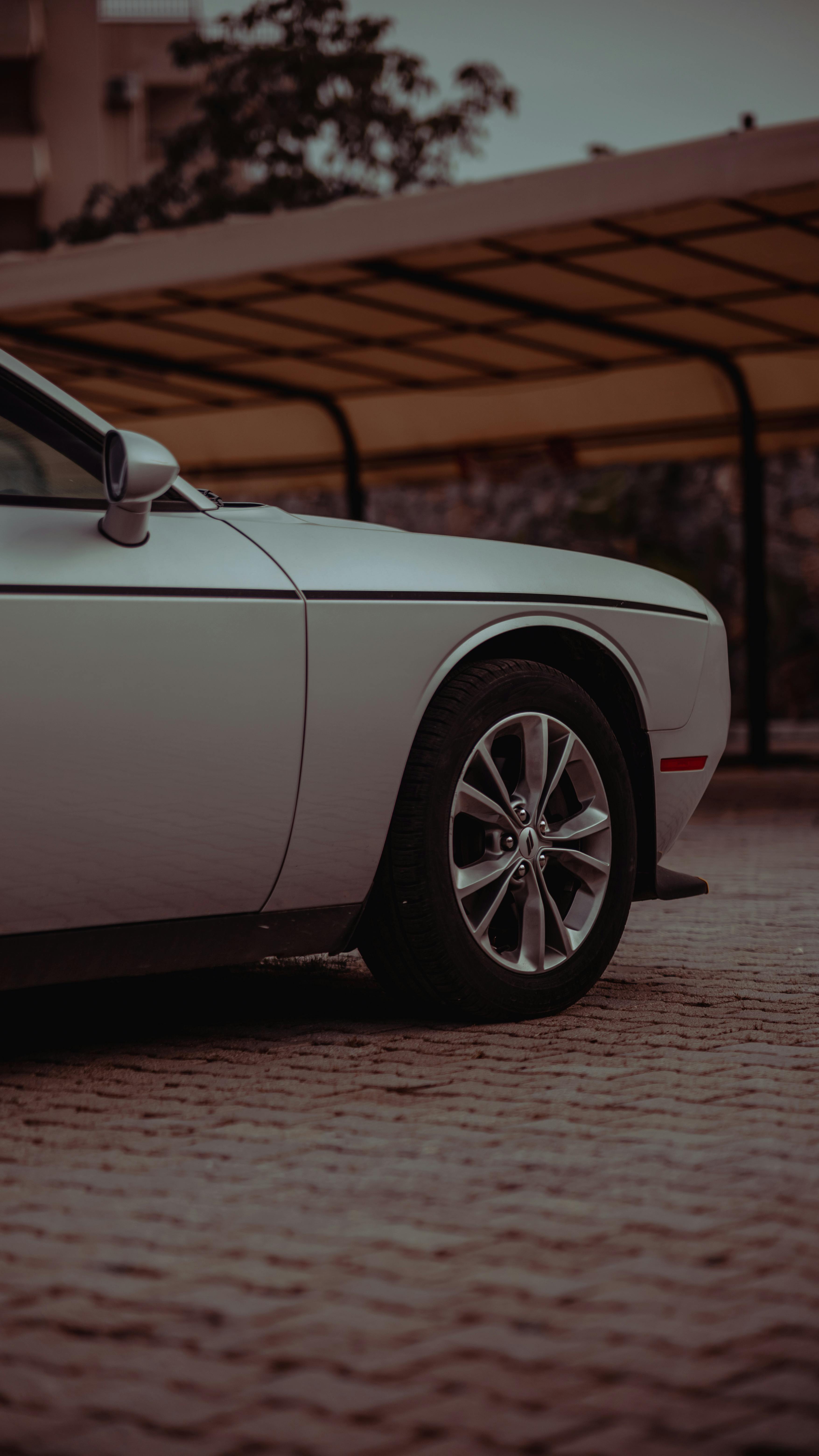 Dodge Challenger doing Burnout · Free Stock Photo