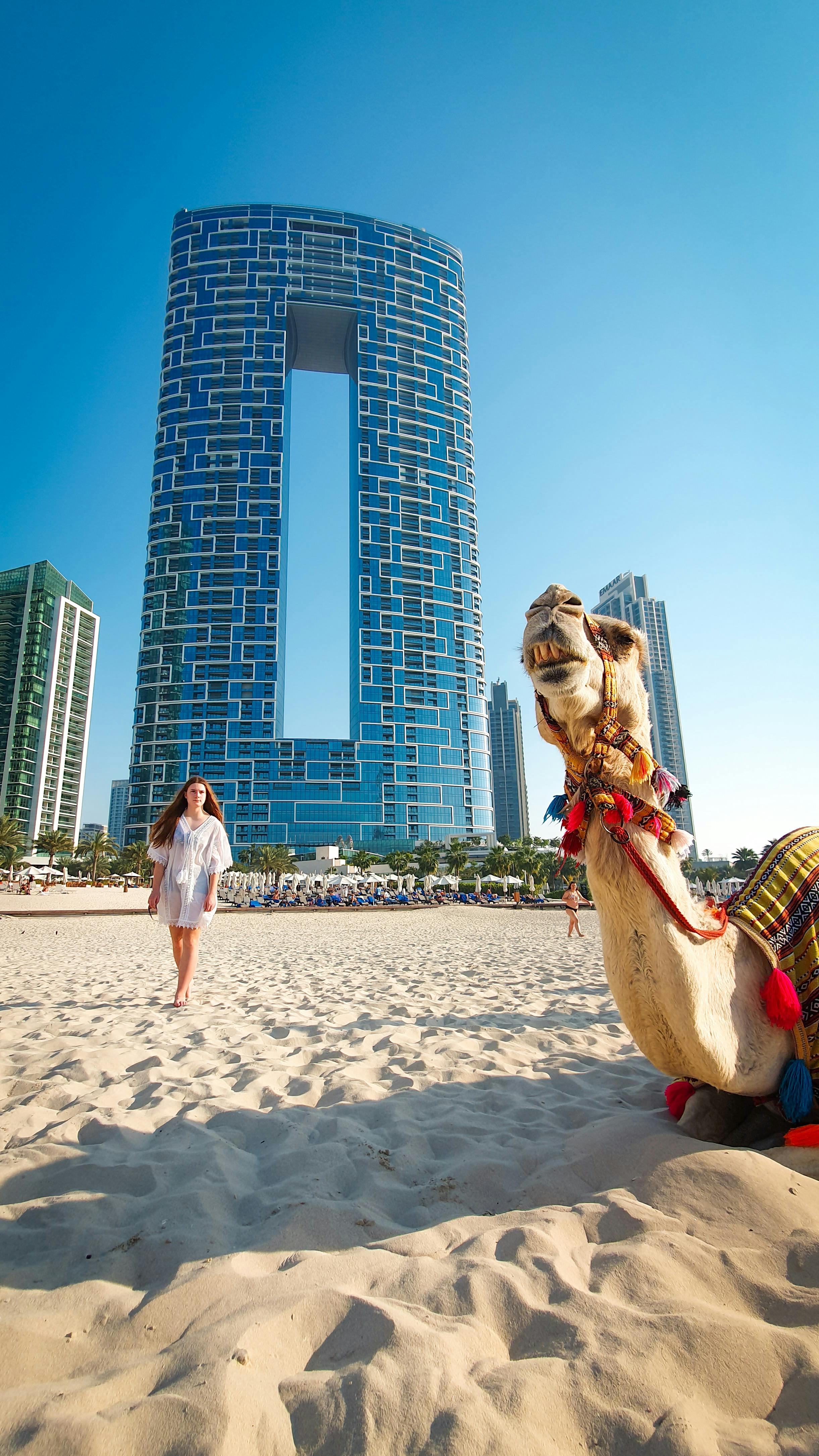 Jbr Beach Dubai Photos, Download The BEST Free Jbr Beach Dubai Stock ...