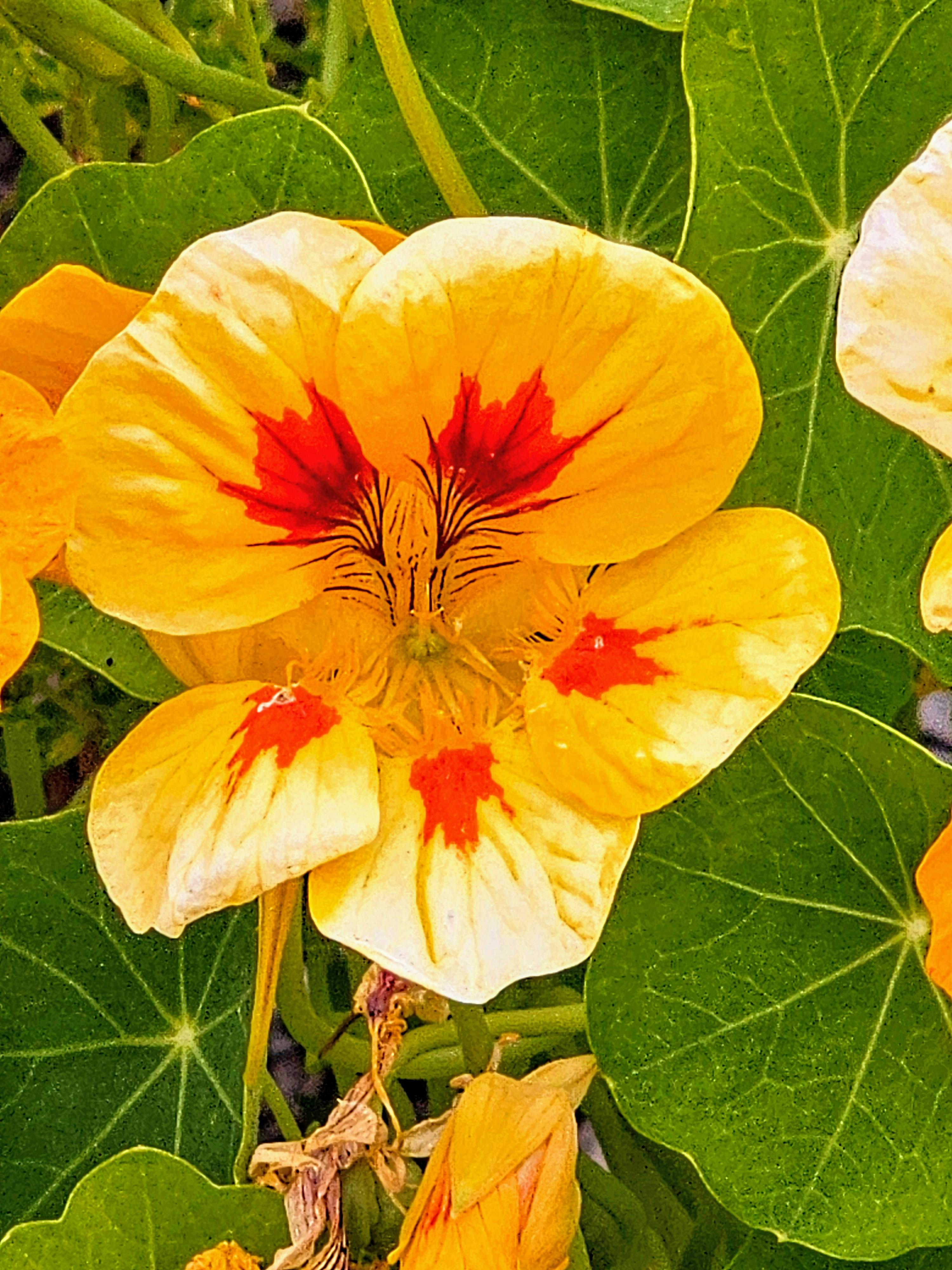 David A Landry - Photographie