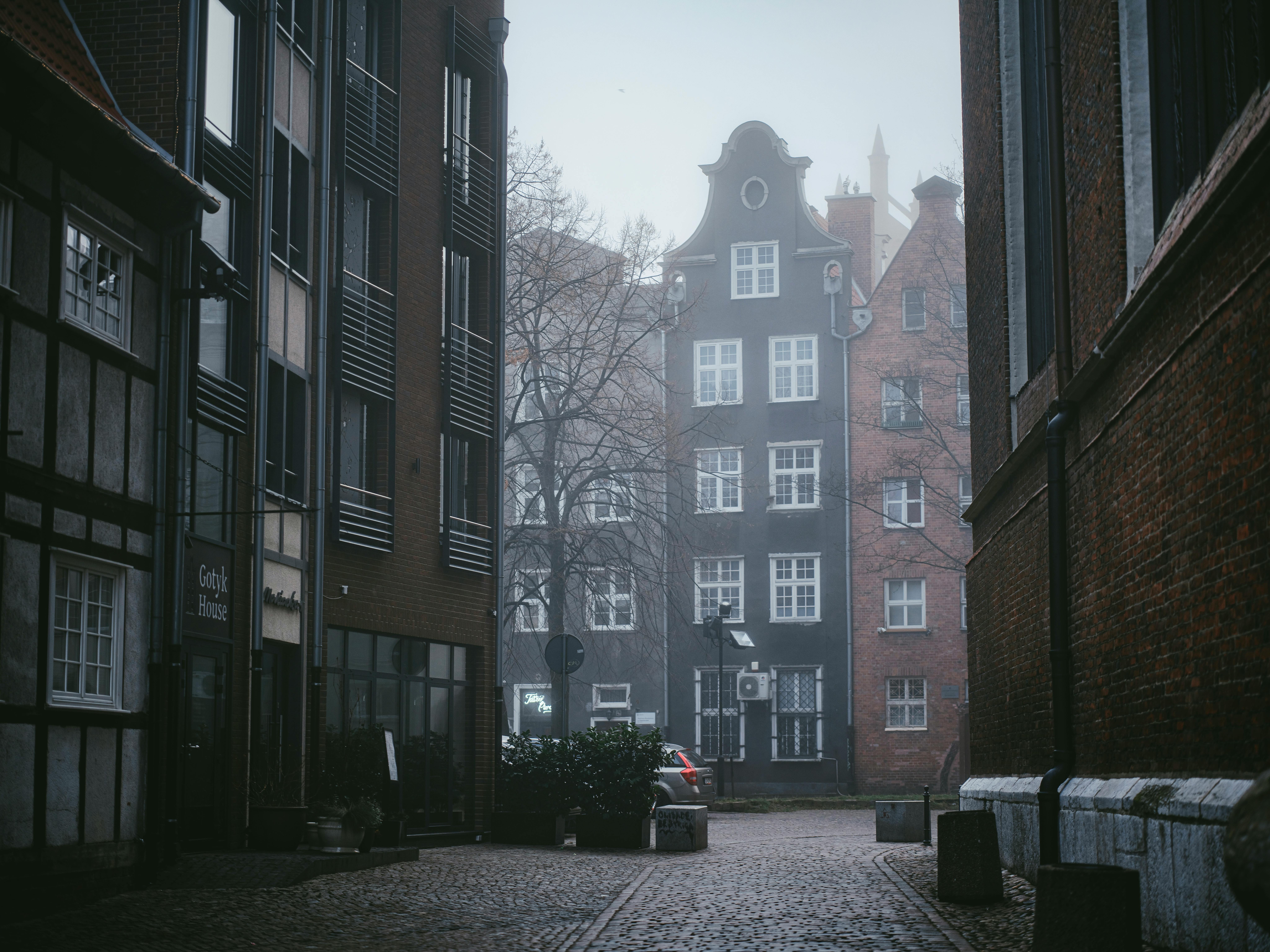 City Street with Modern and Old Townhouses in Mist · Free Stock Photo