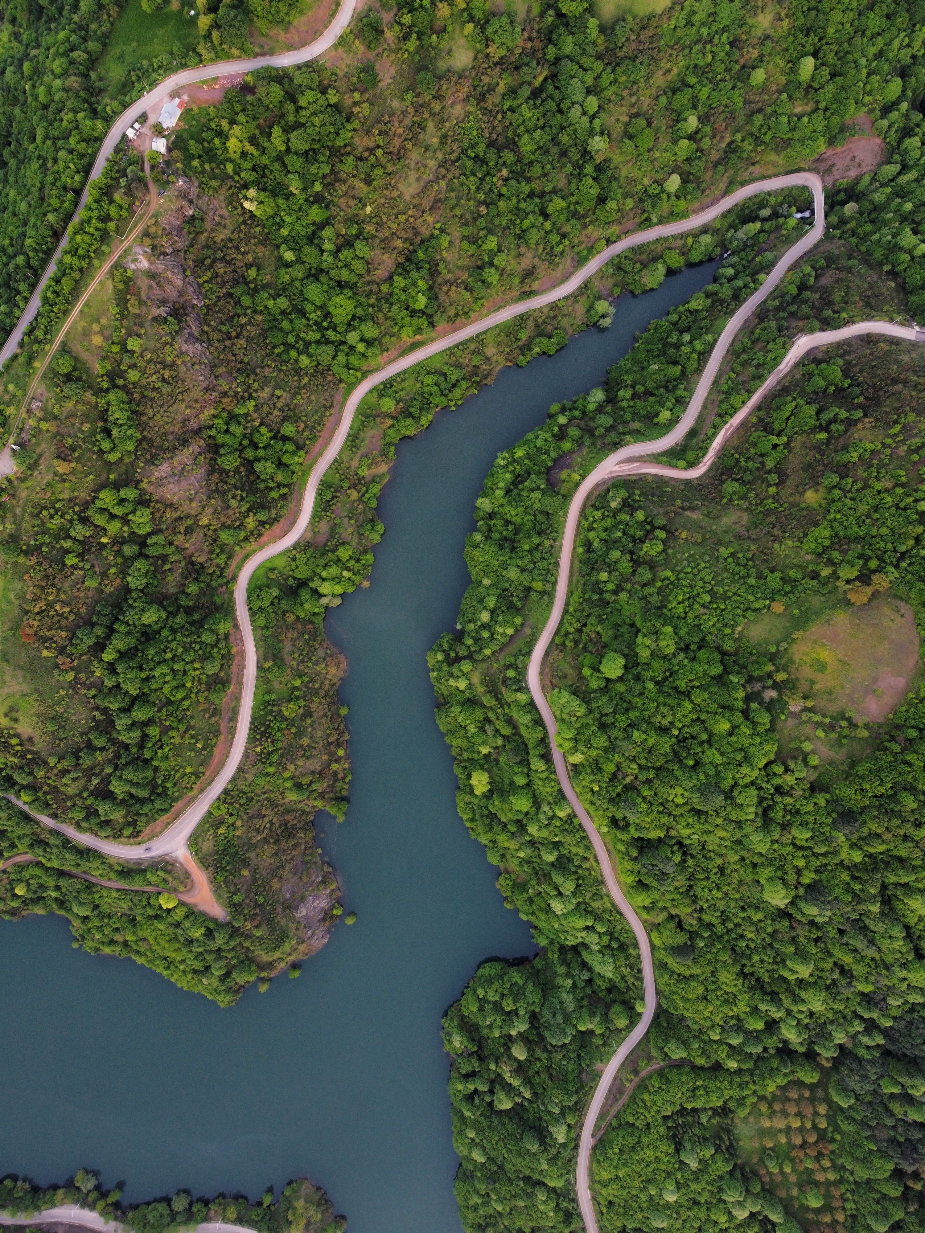 Aerial Footage of a Green Island and a River Meander · Free Stock Photo