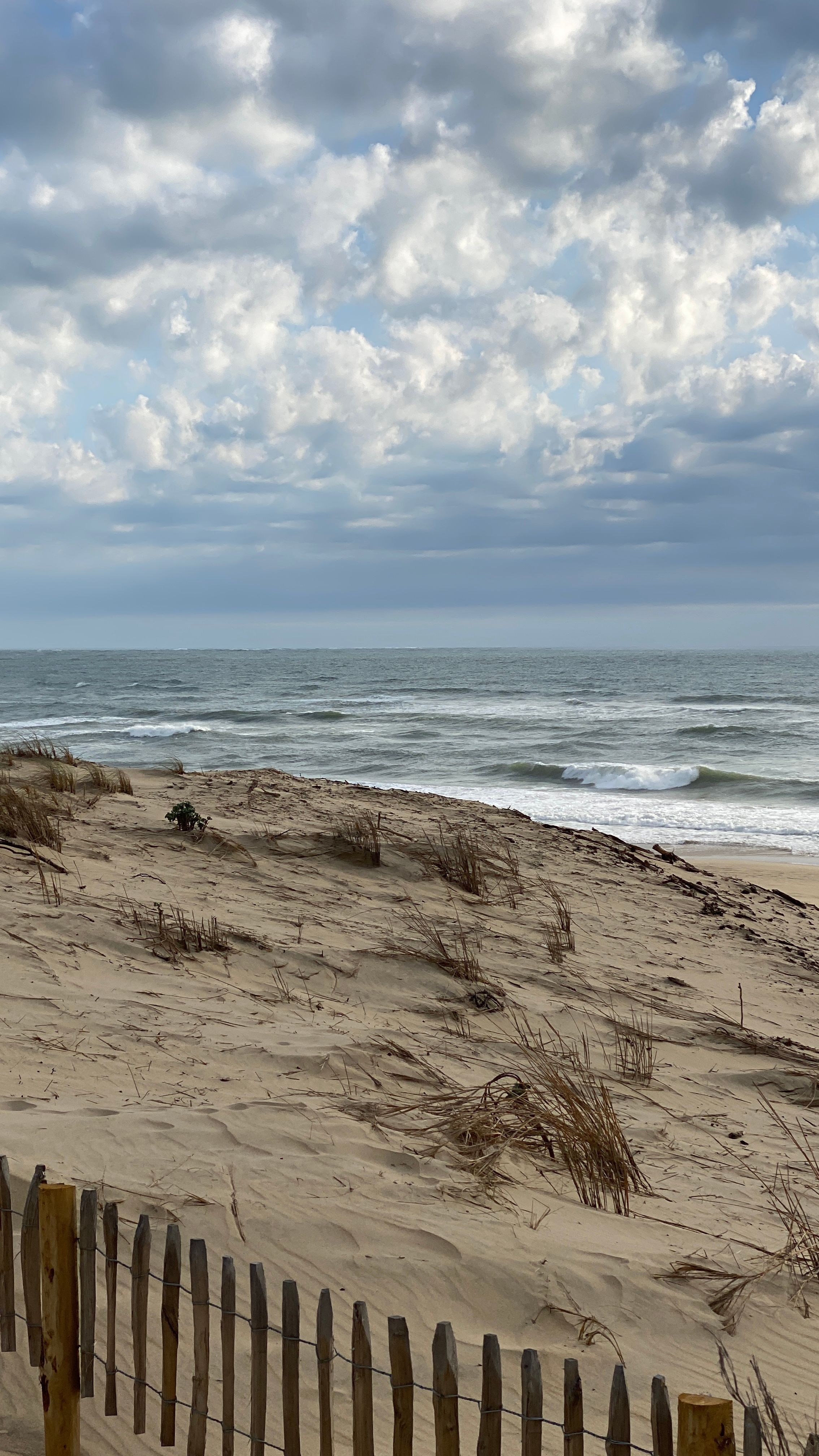 Wire Fence on the Beach · Free Stock Photo
