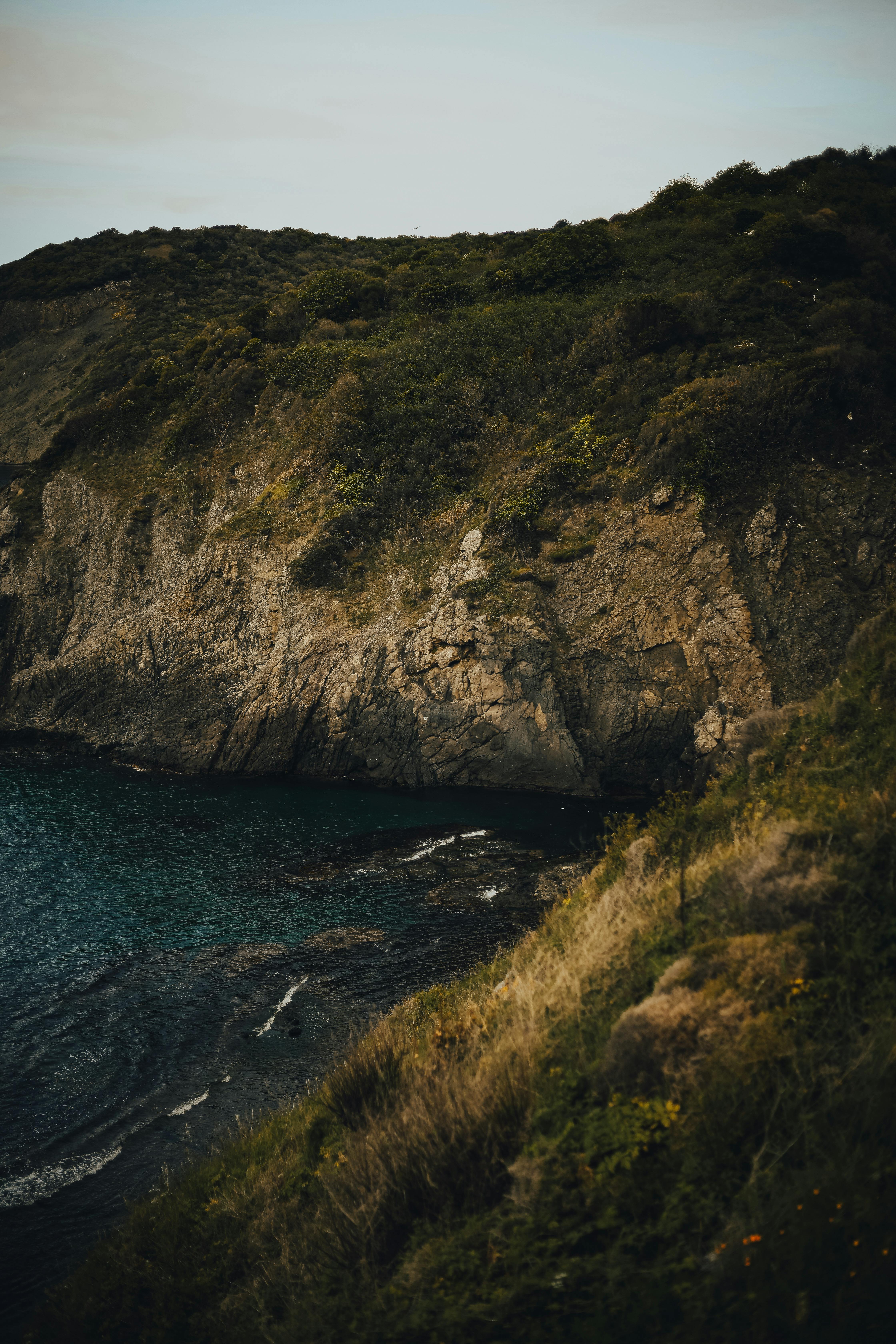 Cliff by Seashore · Free Stock Photo