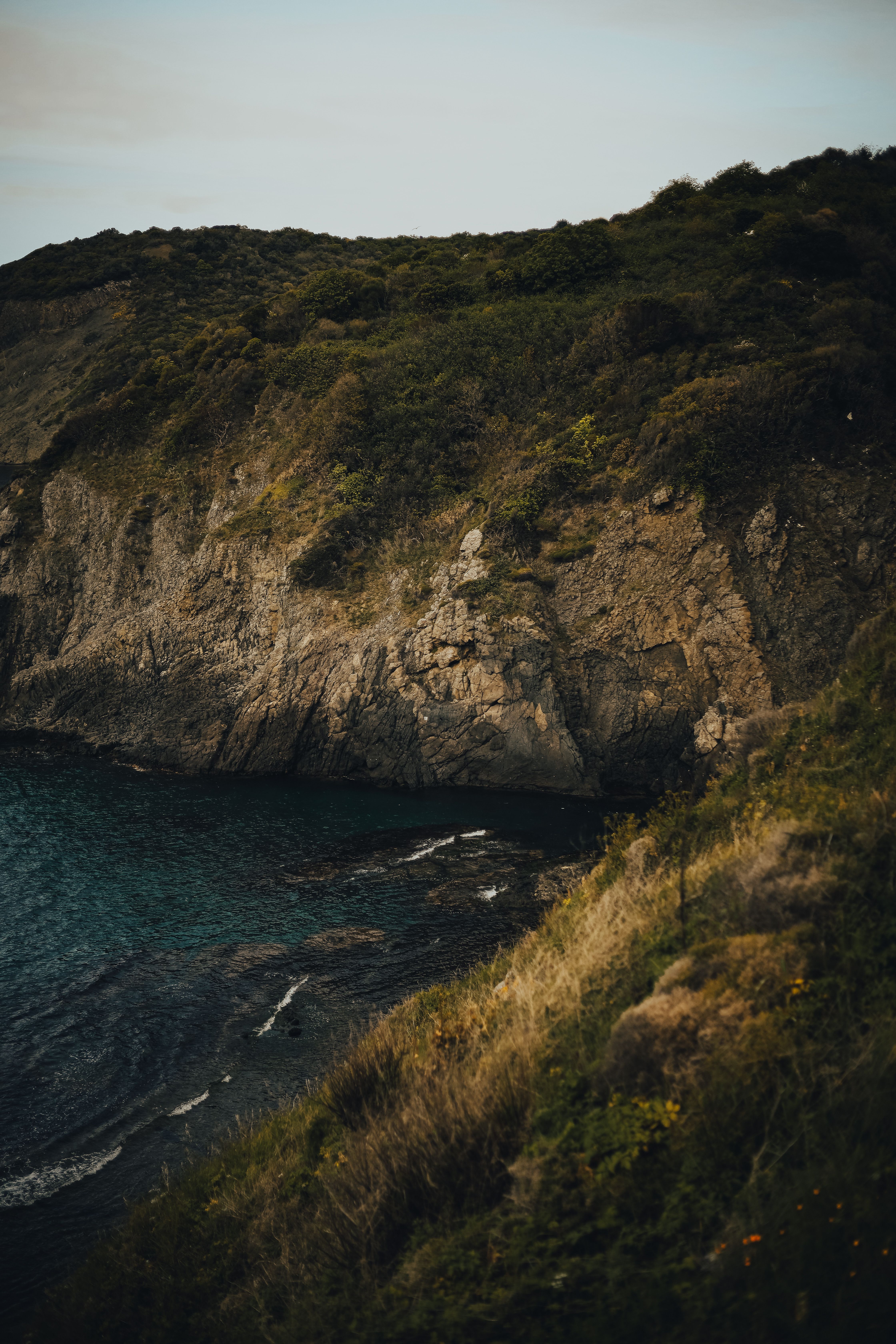 Cliff by Seashore · Free Stock Photo