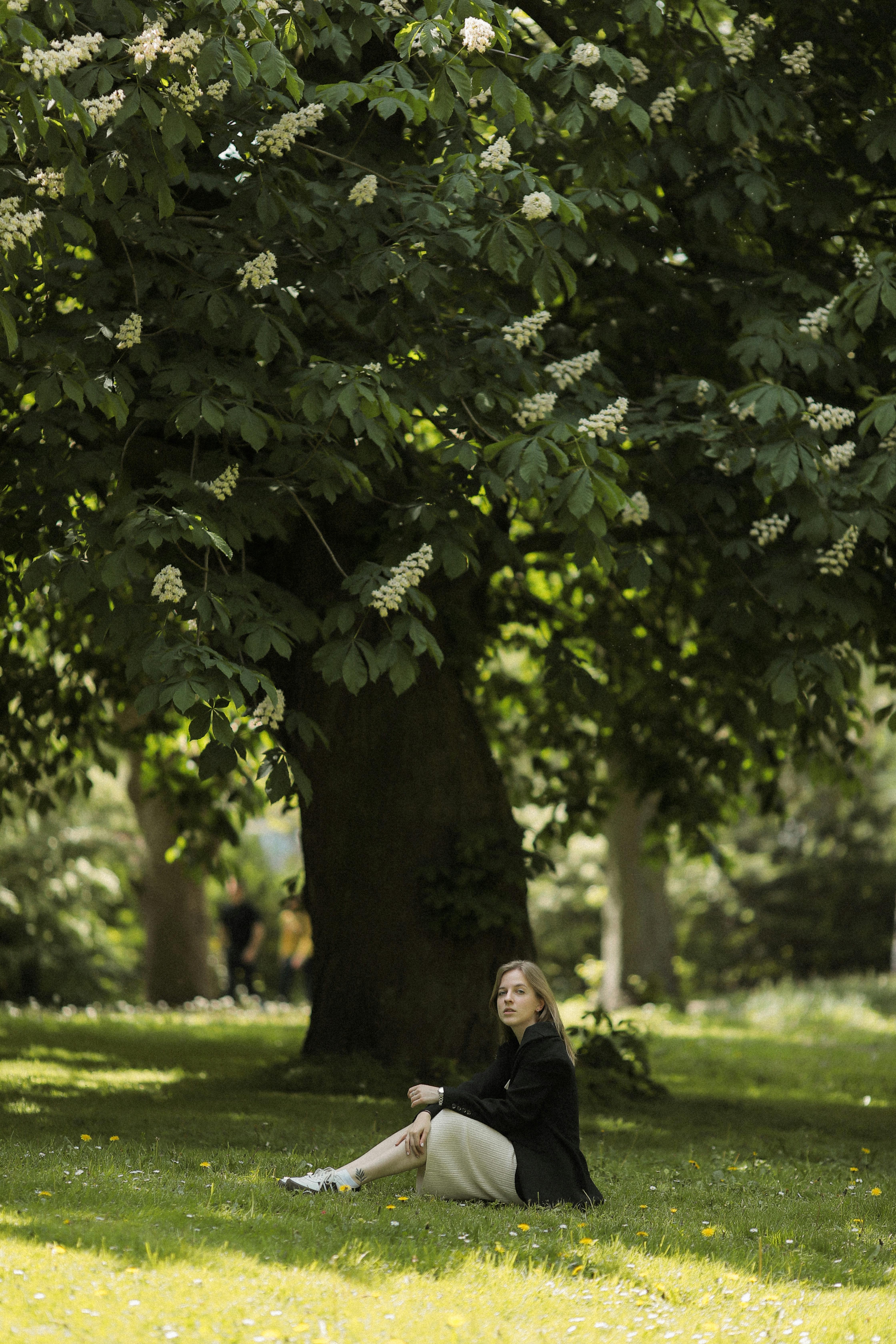 Woman Sitting under a Tree in a Park · Free Stock Photo