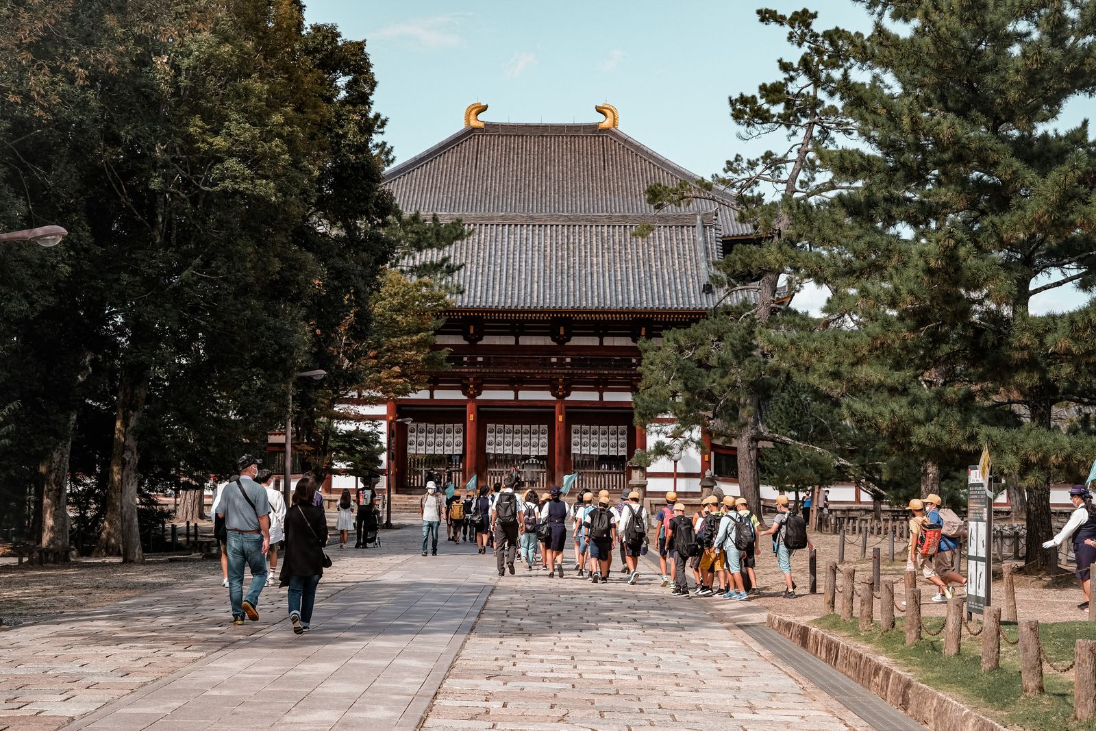 Nara Photos, Download The BEST Free Nara Stock Photos & HD Images