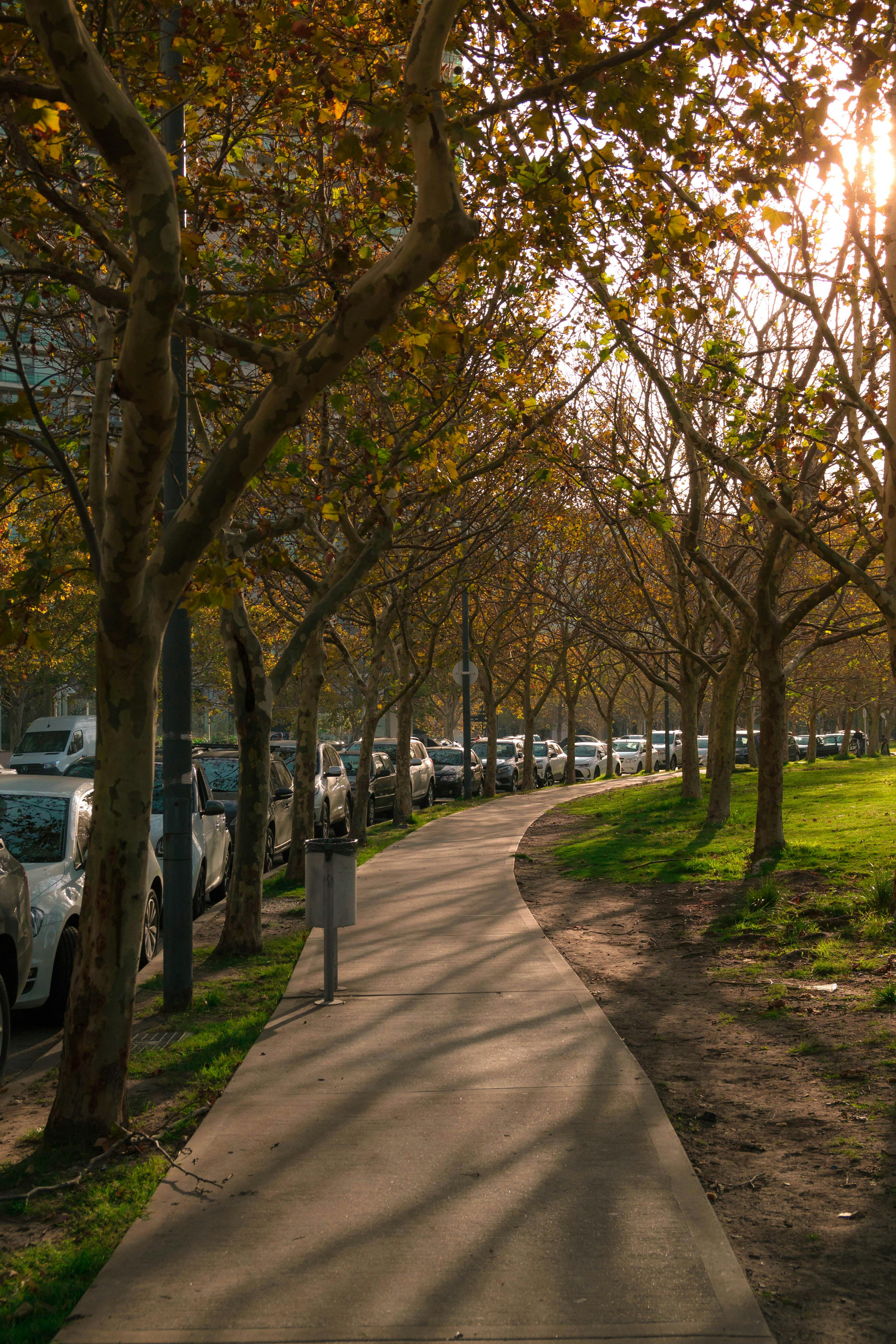 Walkway and Parked Cars in a Park · Free Stock Photo