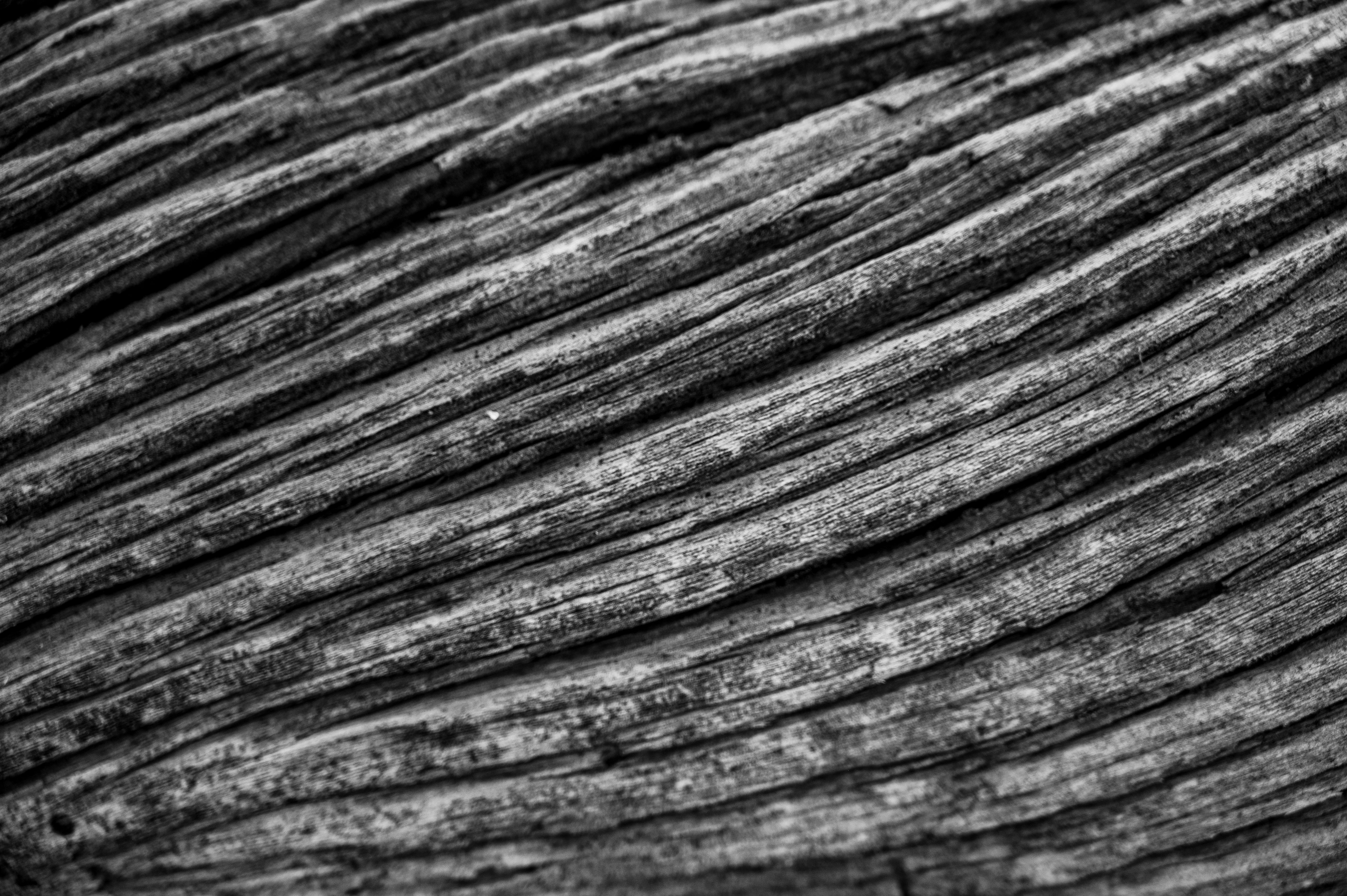 Wood Stomp Photos, Download The BEST Free Wood Stomp Stock Photos & HD ...