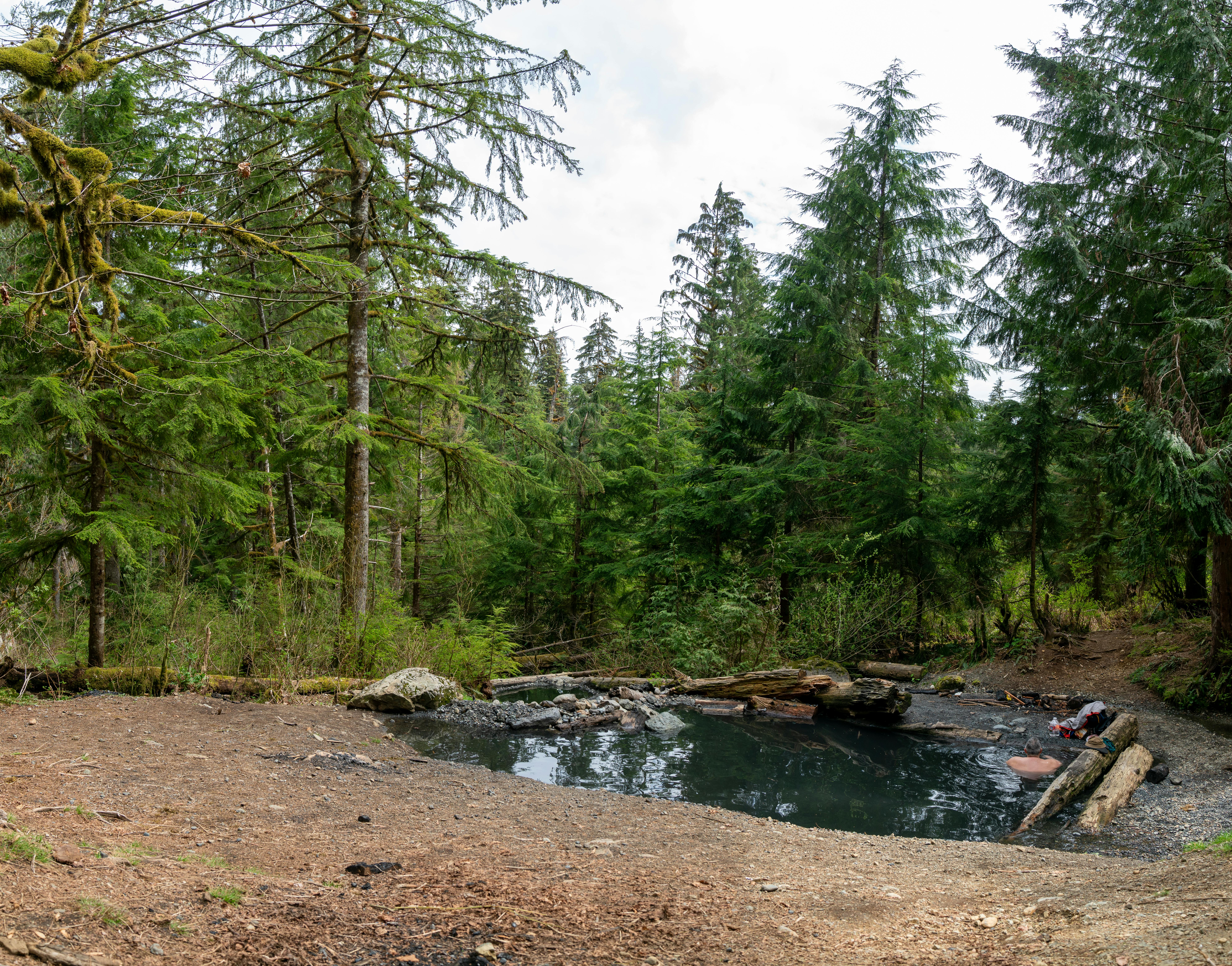 Wild Campsite in Forest · Free Stock Photo
