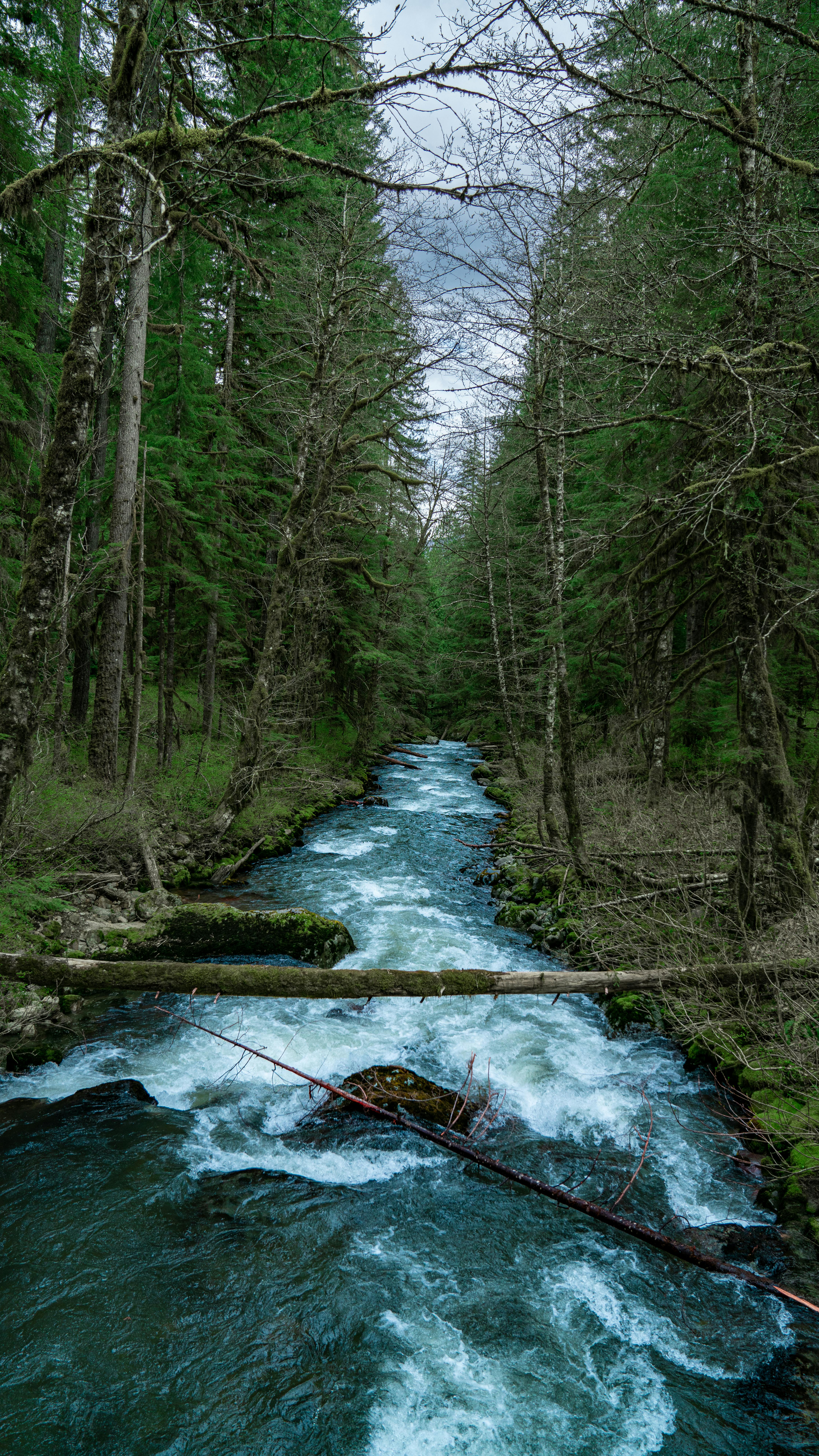 Washington Burlington Photos, Download The BEST Free Washington ...