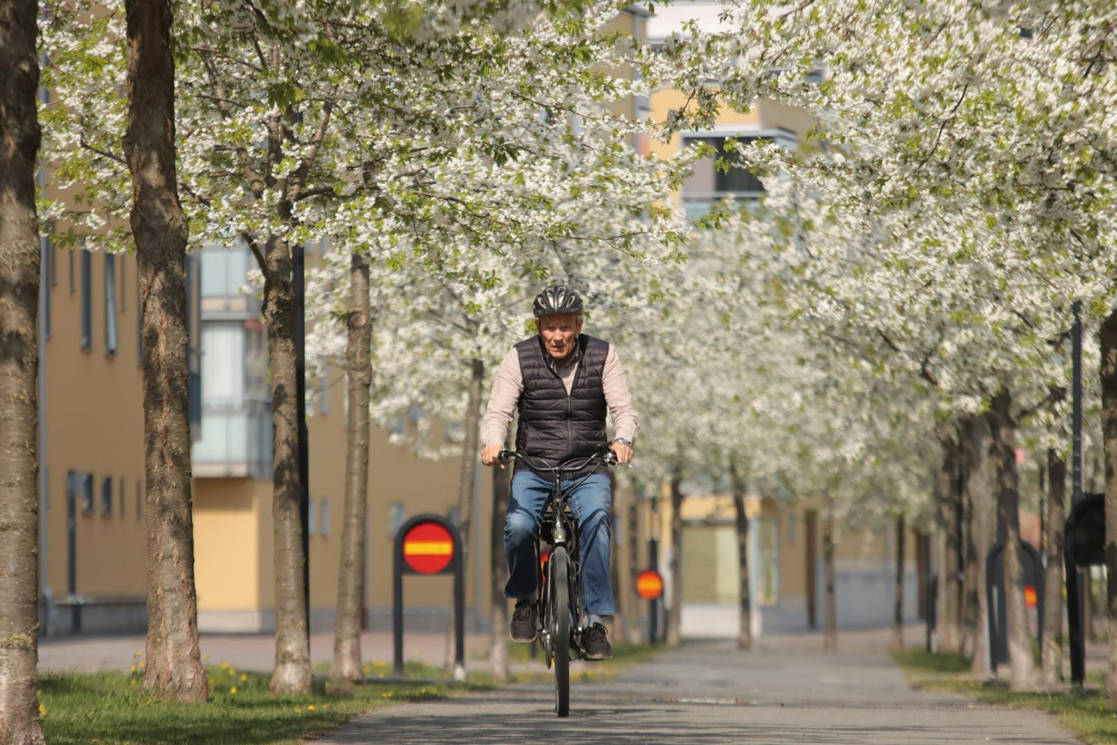 Bike In Spring Photos, Download The BEST Free Bike In Spring Stock ...