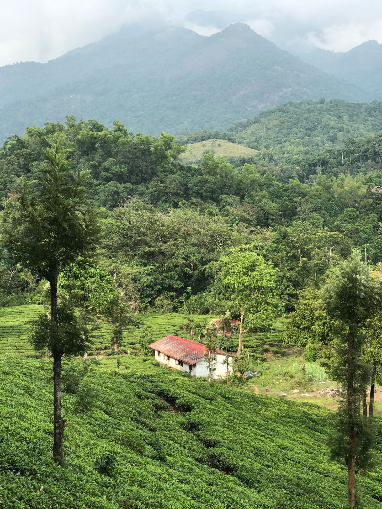 Green Hills Photos, Download The BEST Free Green Hills Stock Photos ...