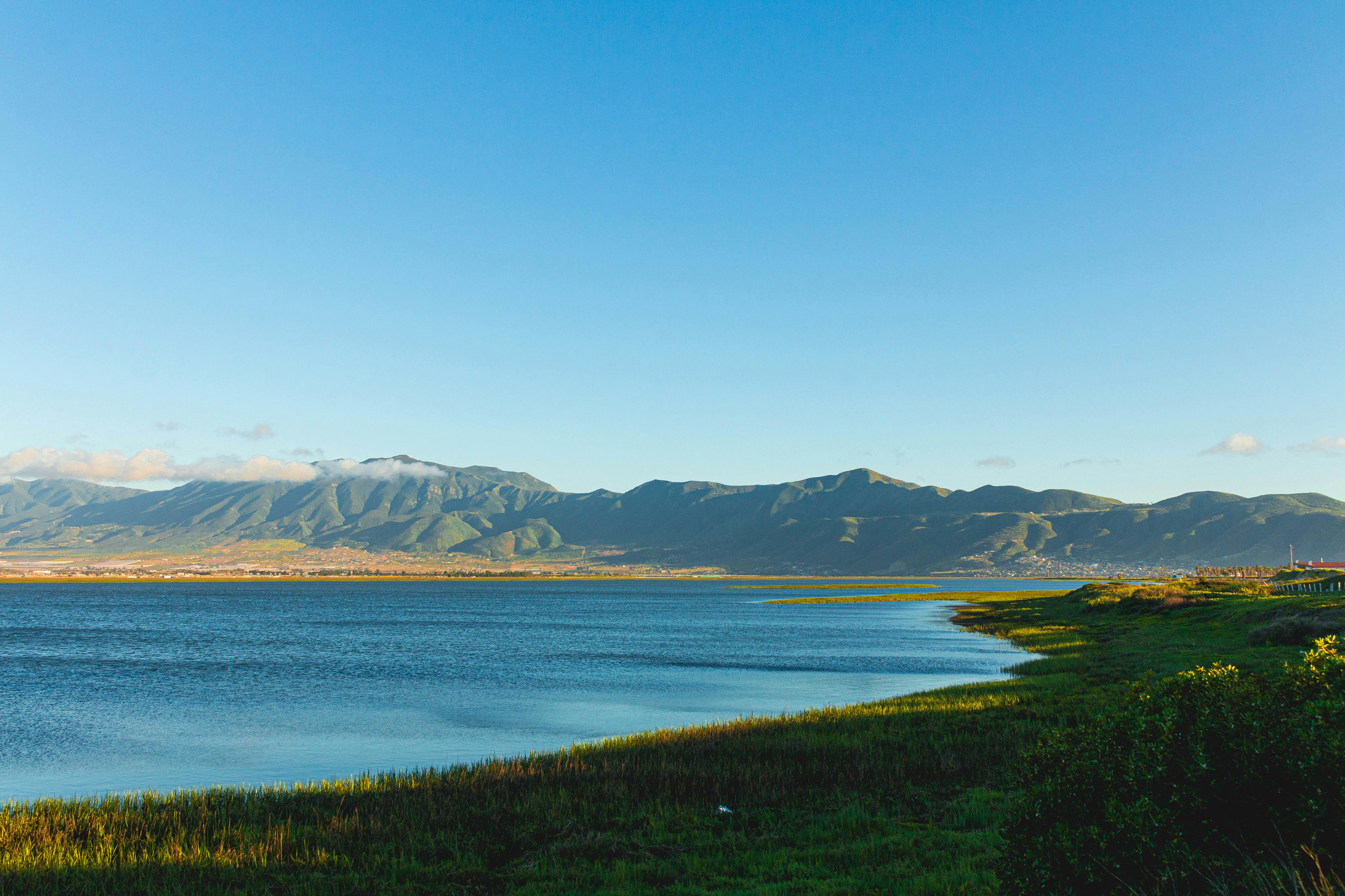 Grassy Sea Coastline · Free Stock Photo