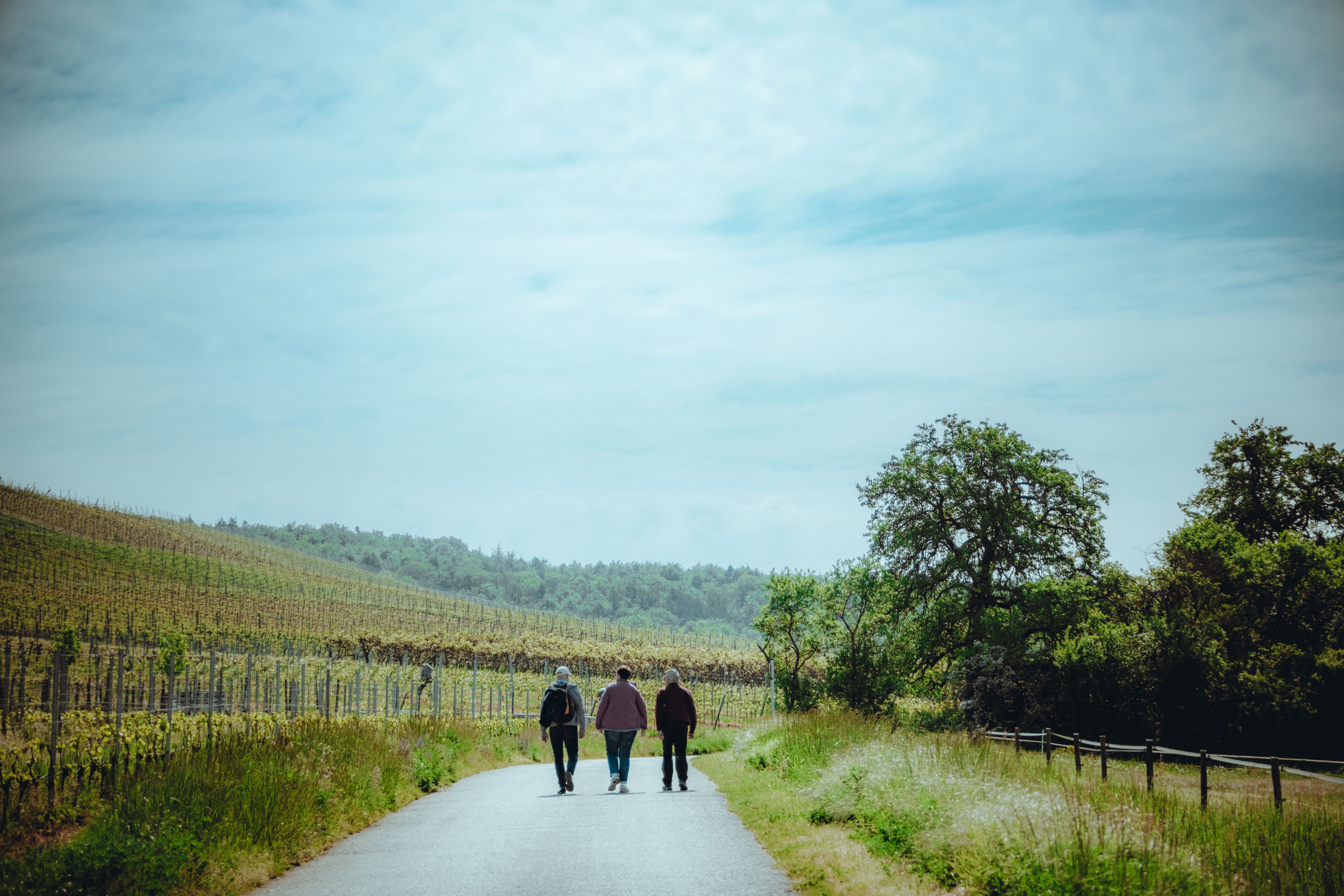 People Walking on Road in Countryside · Free Stock Photo
