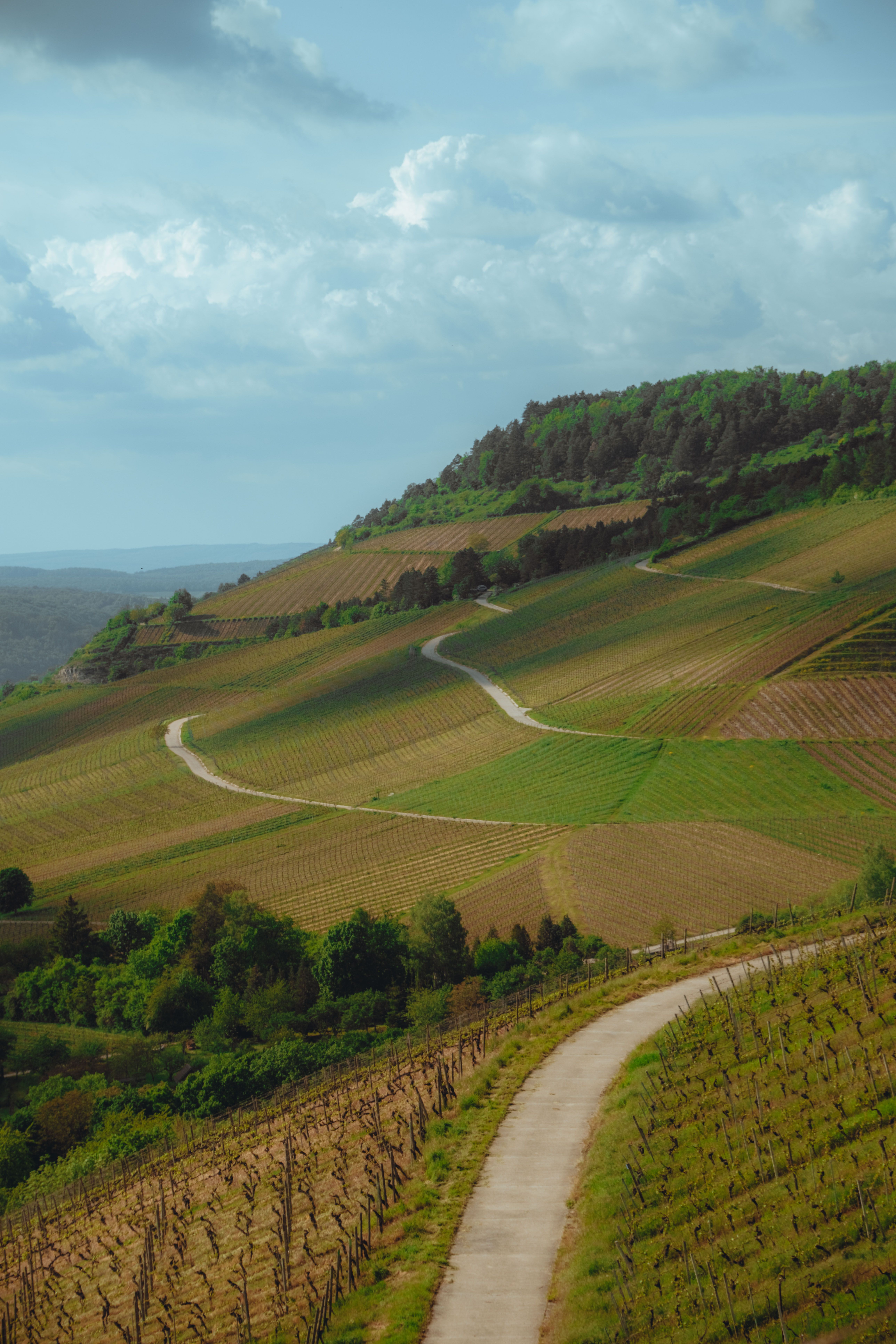 Road Among Fields on Hillside in Germany · Free Stock Photo