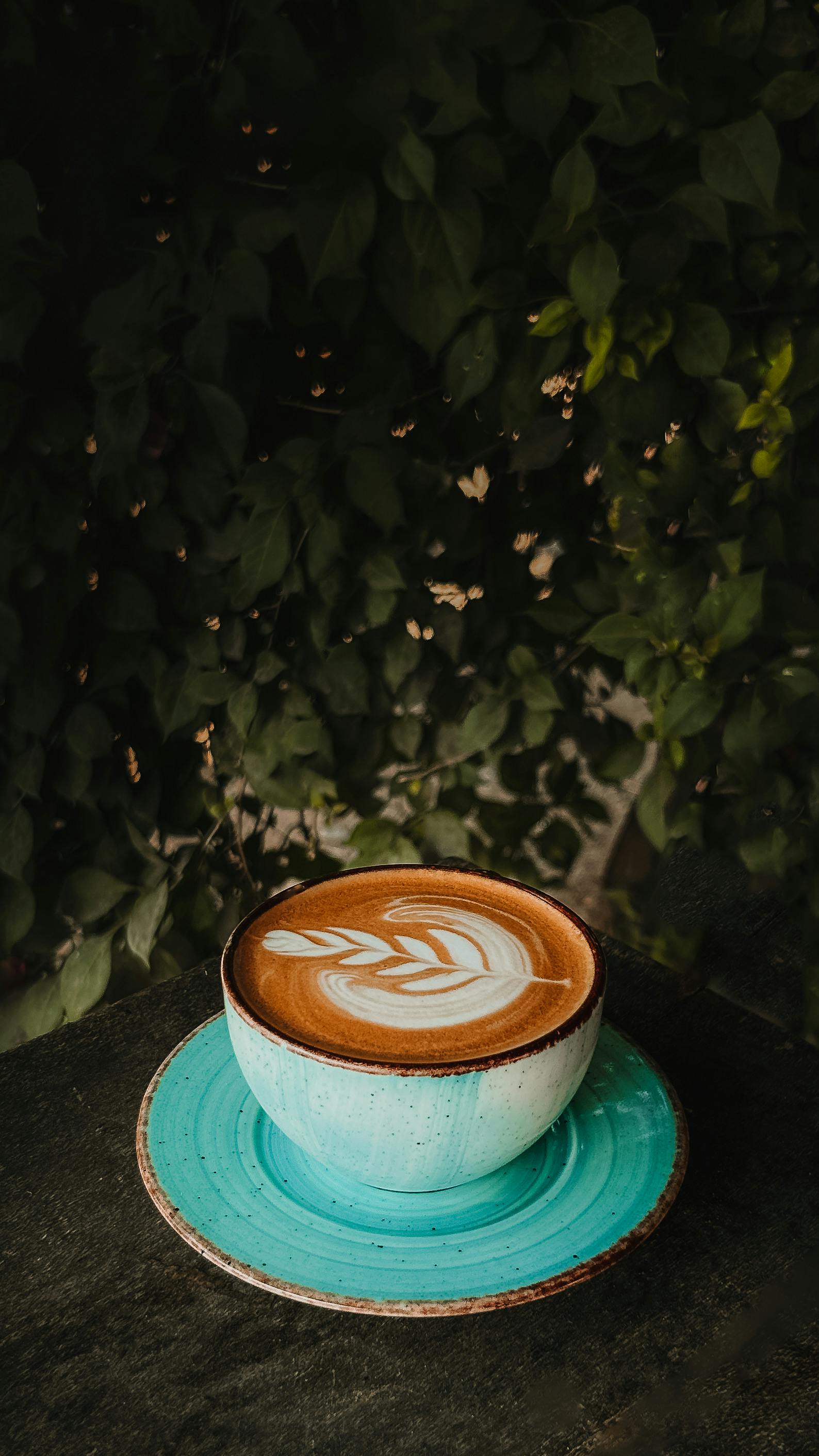 Ivy Loop Wiring Photos, Download The BEST Free Ivy Loop Wiring Stock ...