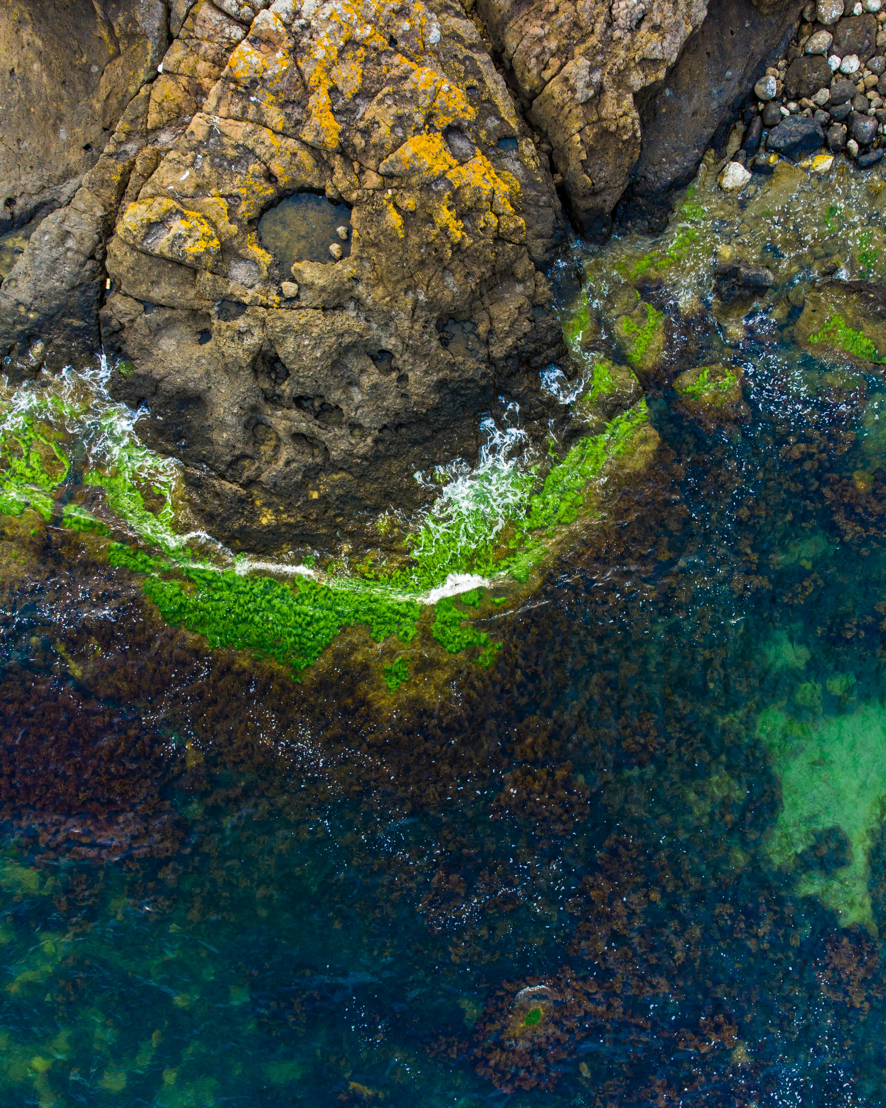 Top View of Rocks on Sea Shore · Free Stock Photo