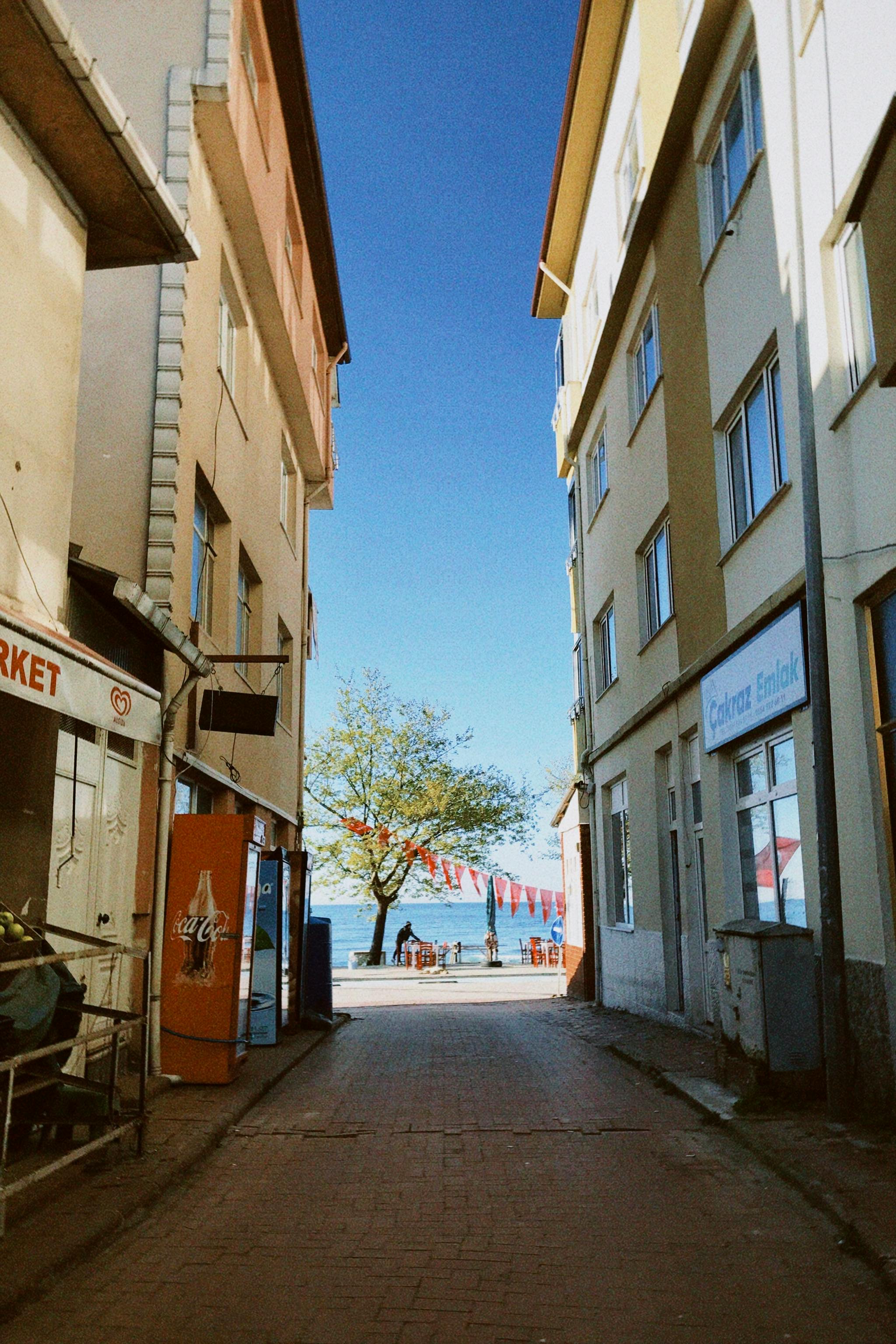 Alley in Park near Buildings · Free Stock Photo